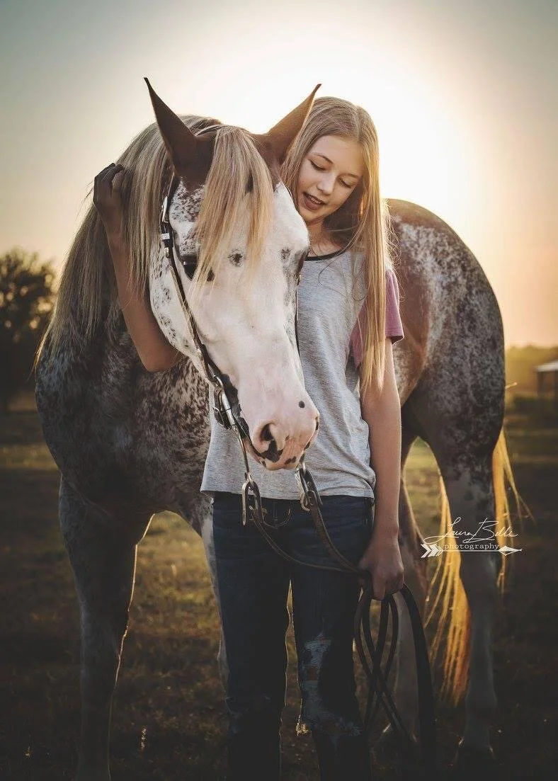 Our Horses — The Trinity Ranch Santa Fe