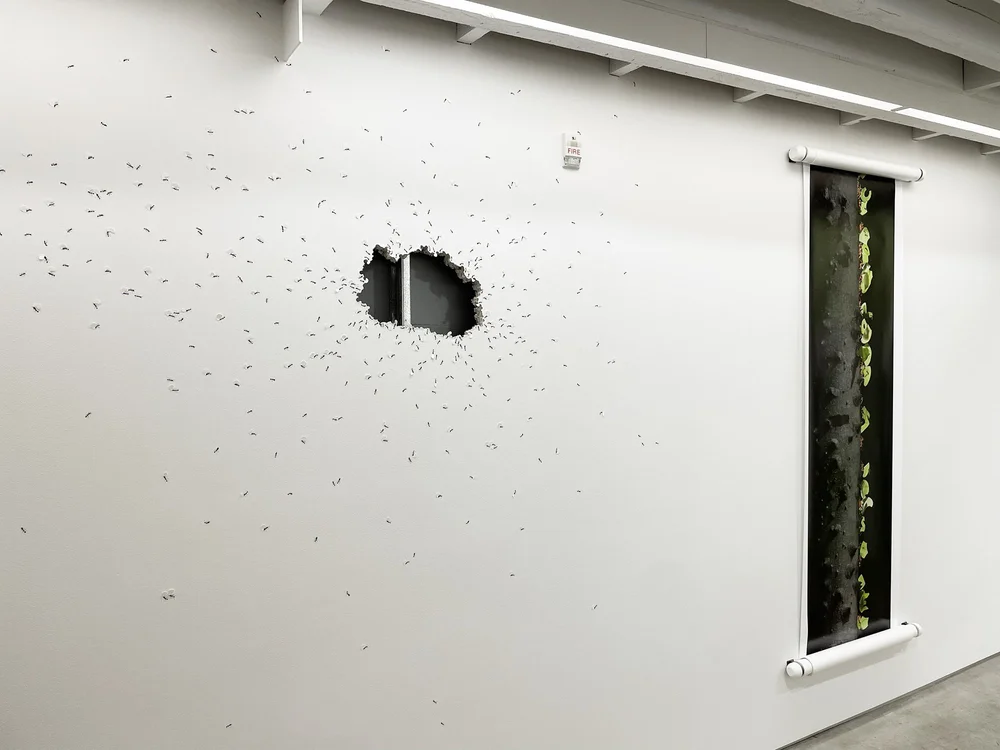 THE DRAWING CENTER - INSTALL SHOTS — Catherine Chalmers