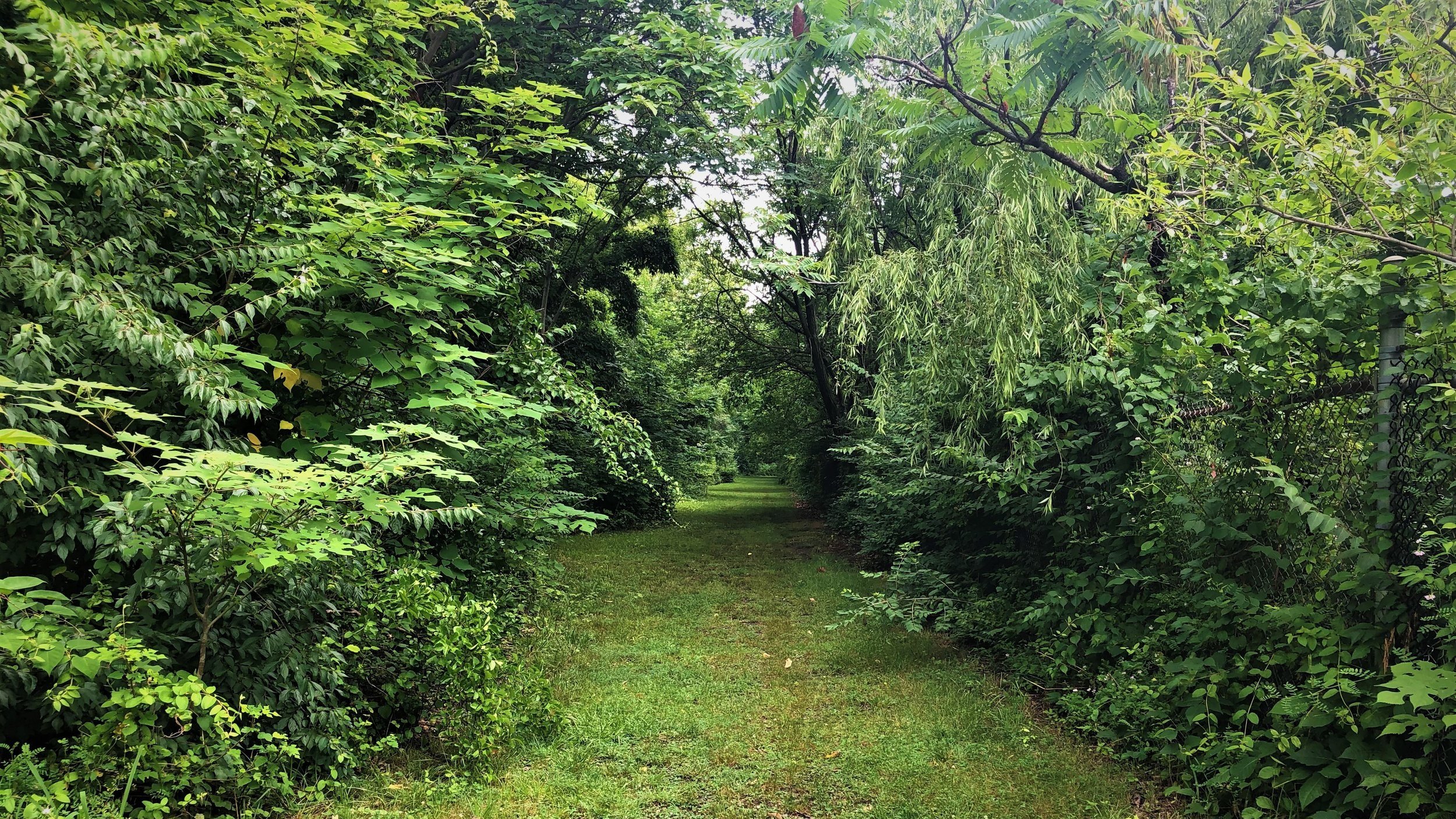 Projects — Studio Zewde