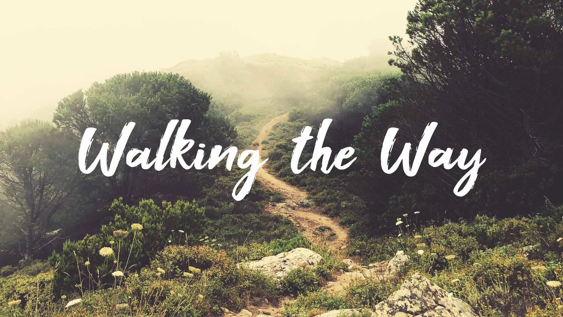 Series | Walking the Way — Redeemer Church