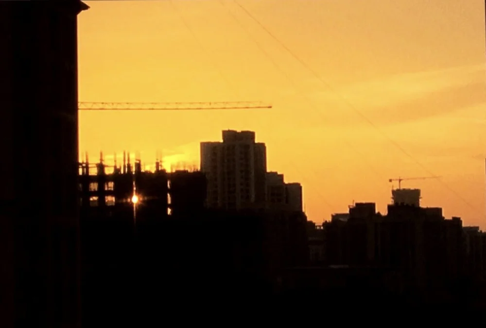Photo Contest: View Outside Your Window — FIUTS | Foundation for ...