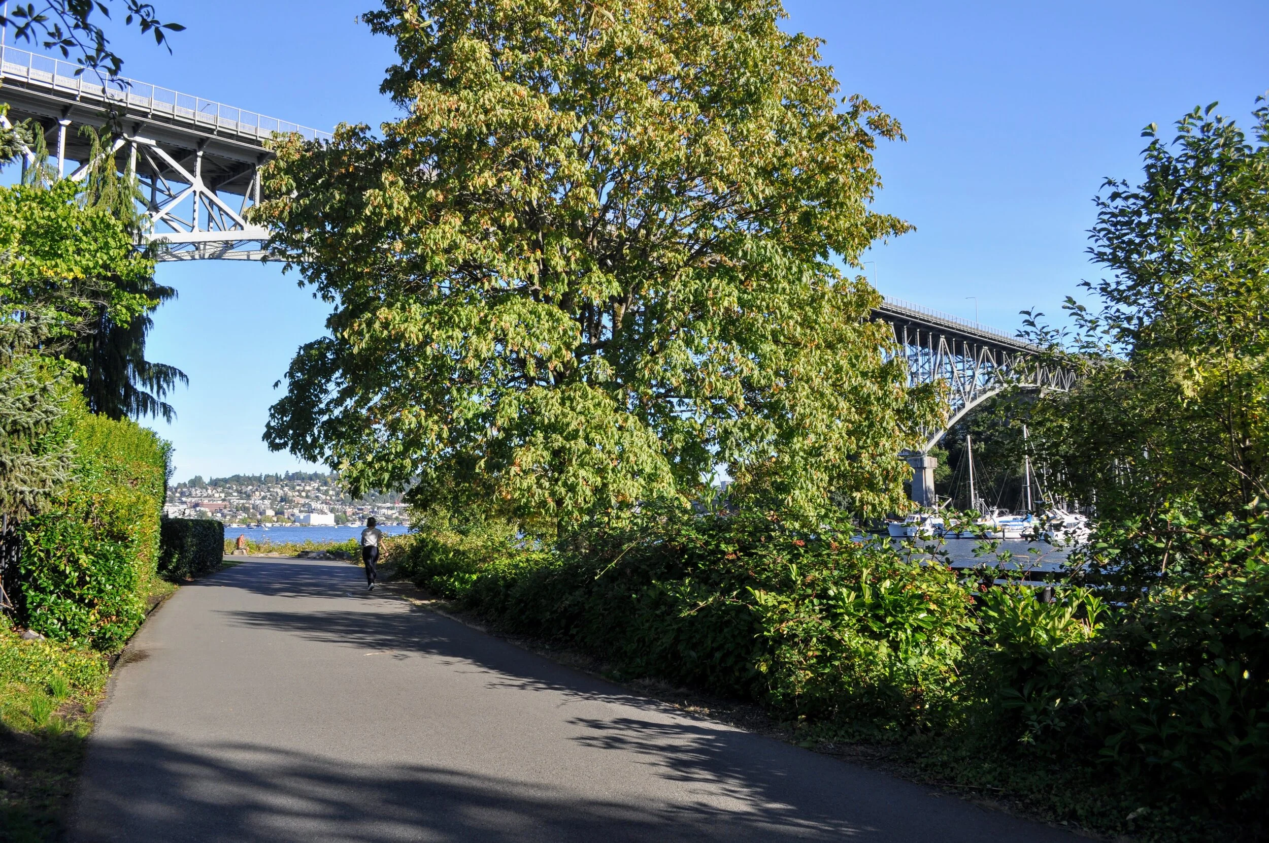 3 Urban Hikes to Explore in Seattle — FIUTS | Foundation for ...