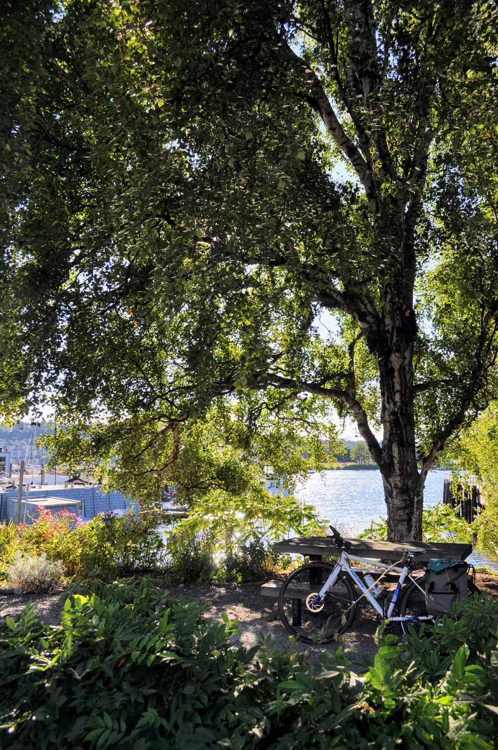 3 Urban Hikes to Explore in Seattle — FIUTS | Foundation for ...