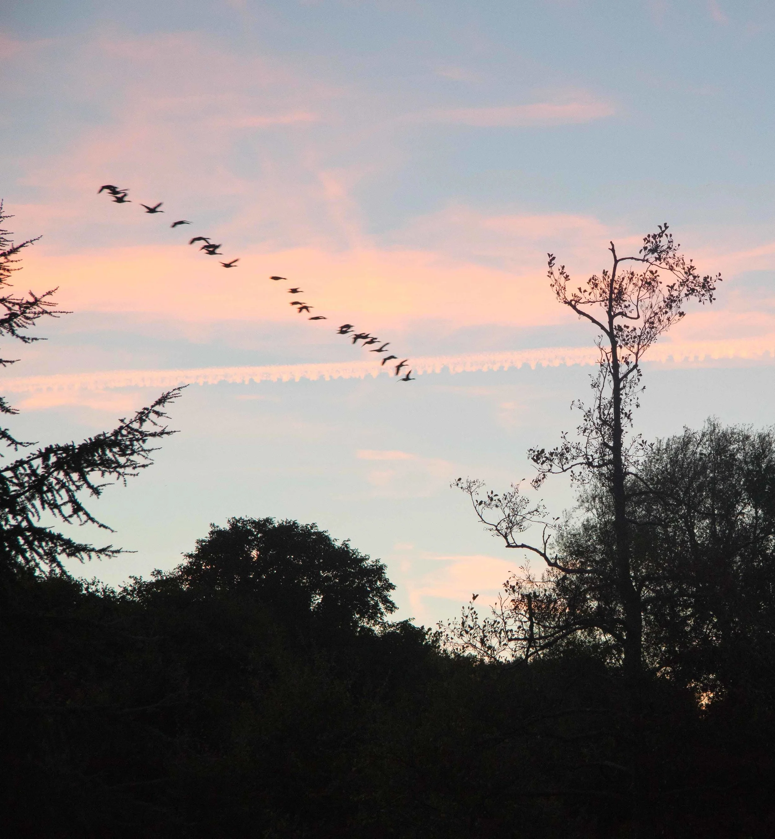 Gallery — Ratford Retreat Centre