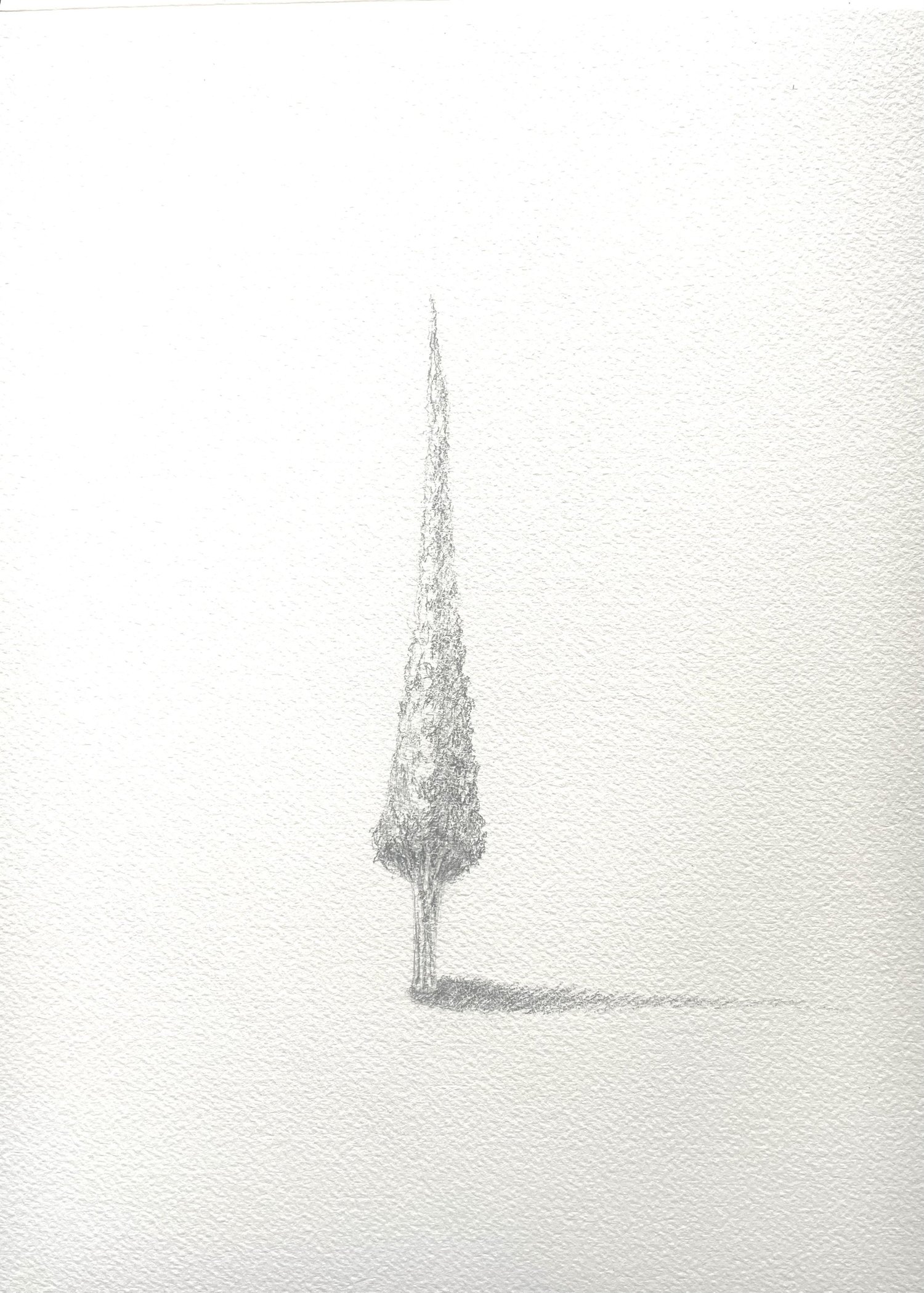 Current — DEBORAH CAIOLA