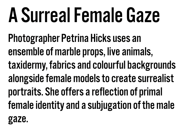 Petrina Hicks artist photographer exhibitions — Petrina Hicks