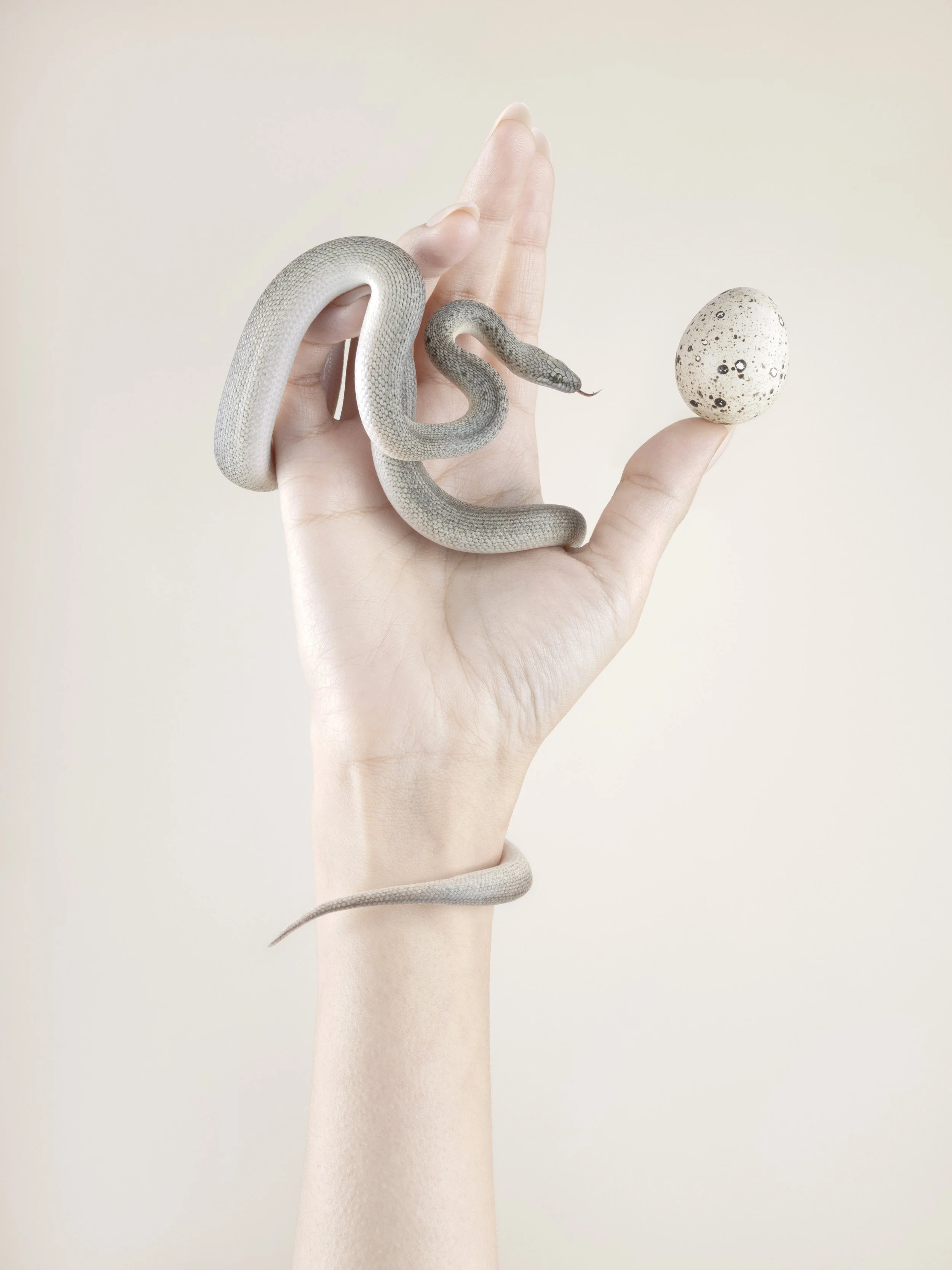 Selected Works — Petrina Hicks