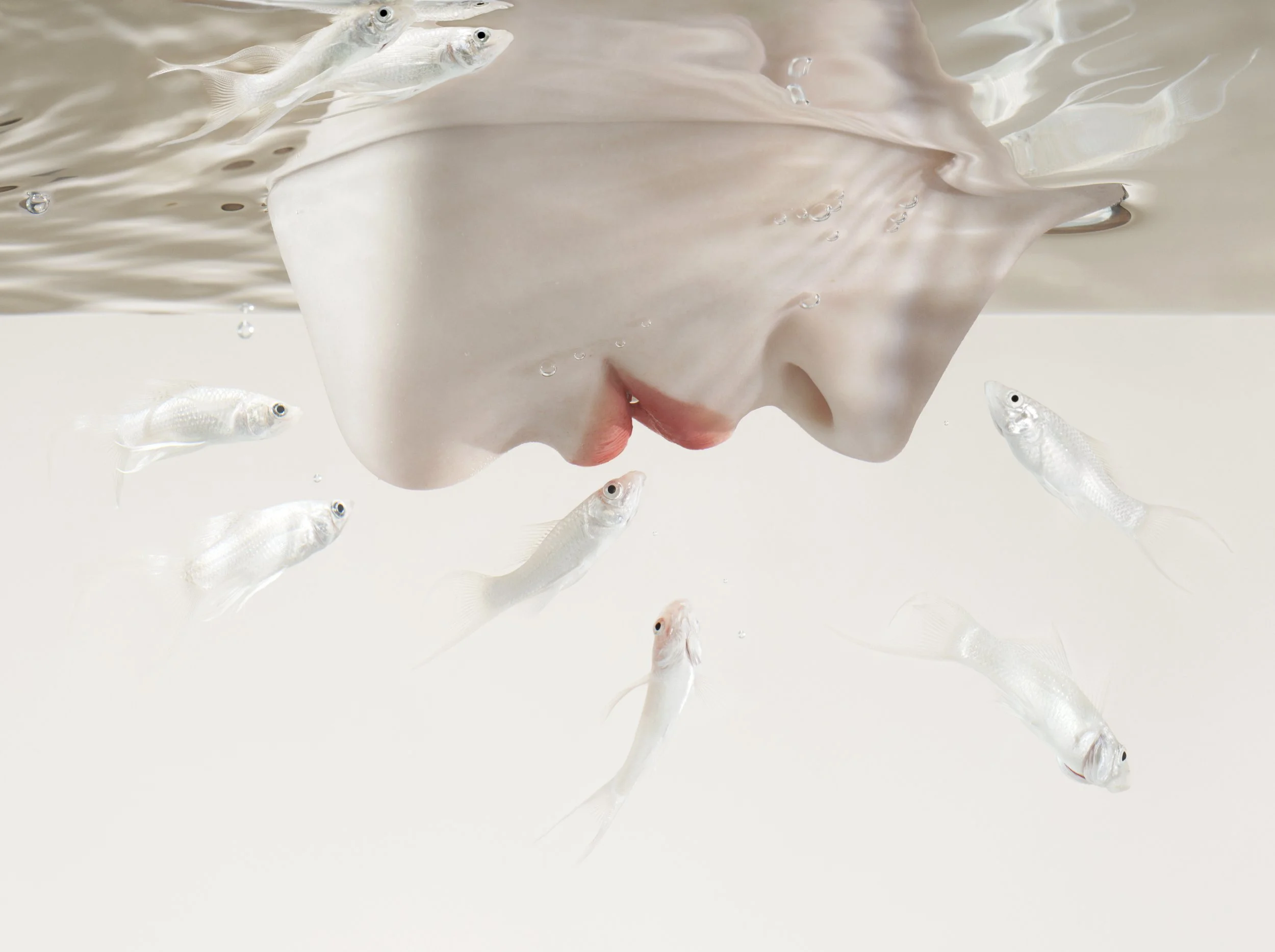 Selected Works — Petrina Hicks