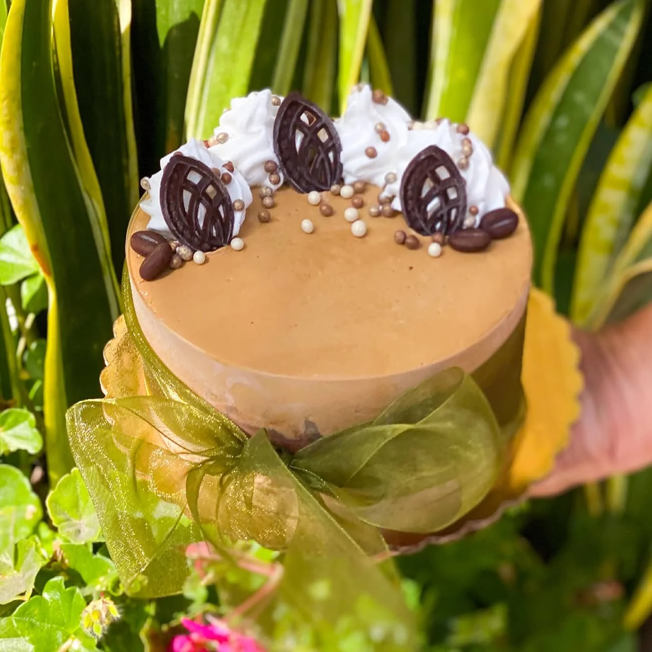 Shop Gelato Flavors Online | Italian Ice Cream, Gelato Cake & Sorbet ...