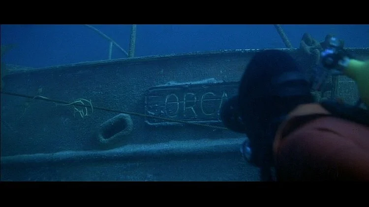 Bold Horror Statement: Jaws 2 is a Slasher Classic — Gayly Dreadful ...