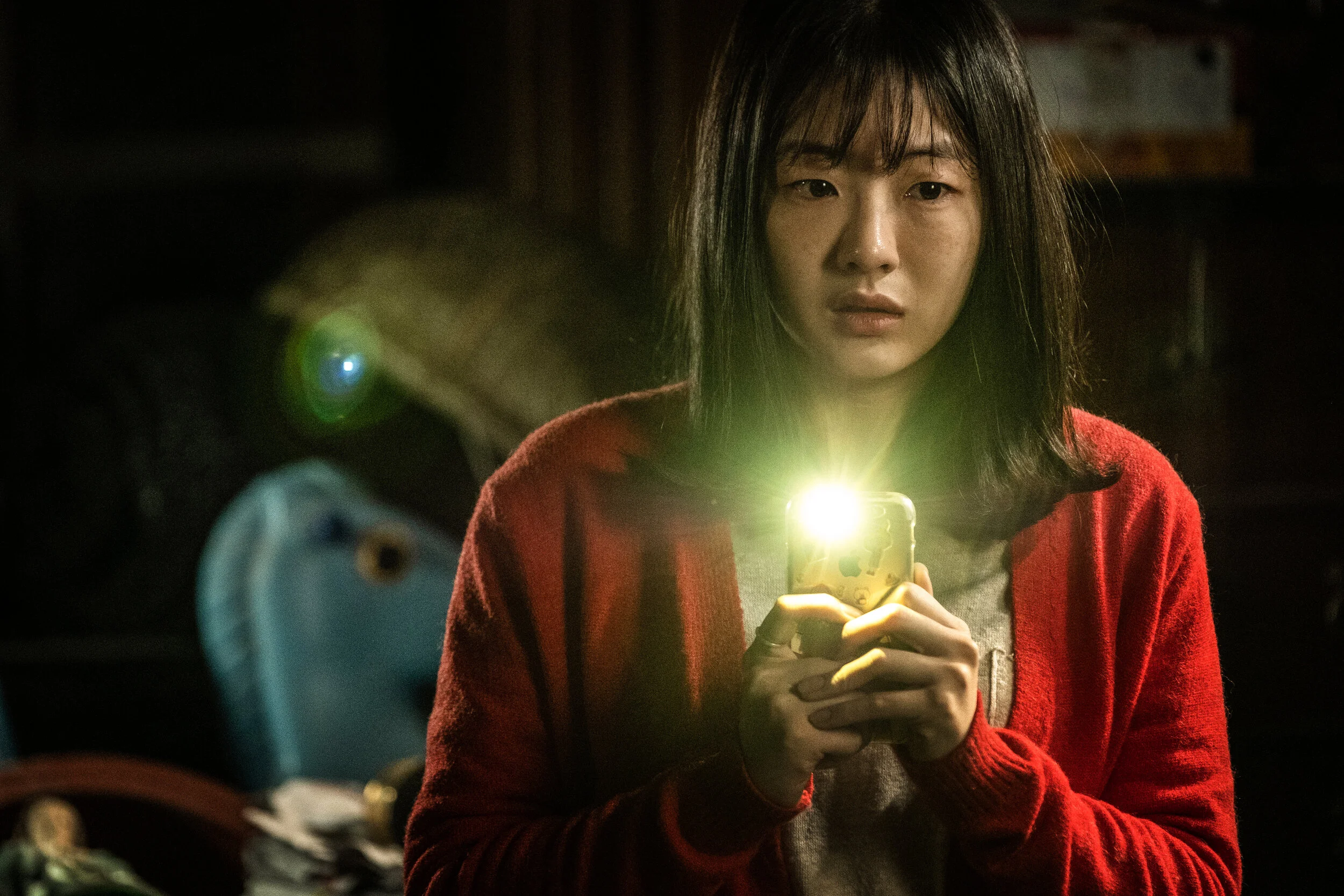 [Review] Metamorphosis is Disappointingly Boring — Gayly Dreadful ...