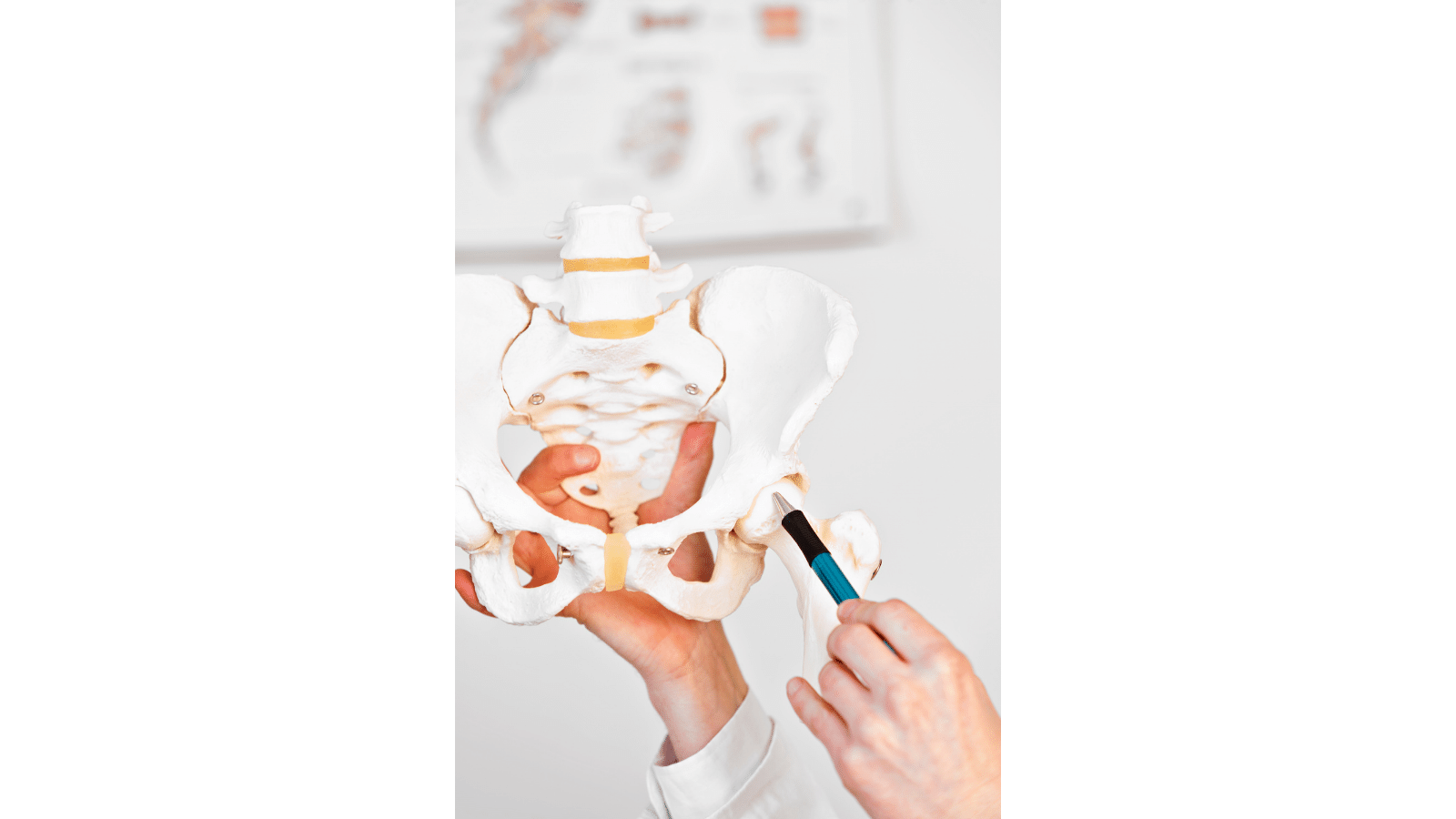 Understanding and Managing Hip Pain | Bay City Health - Osteo ...