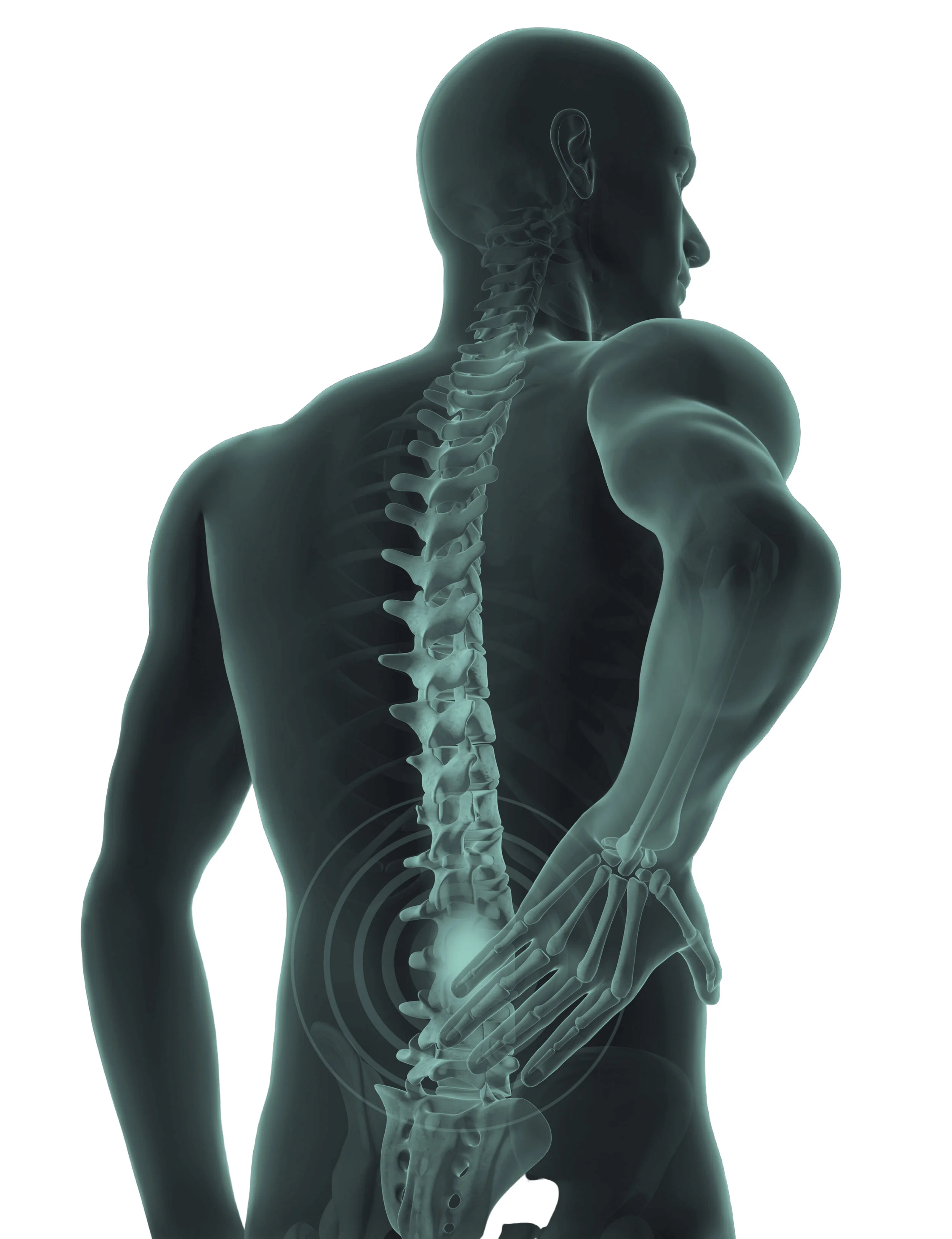 Osteopathy Geelong | Bay City Health Group - Osteopathy, Physiotherapy ...