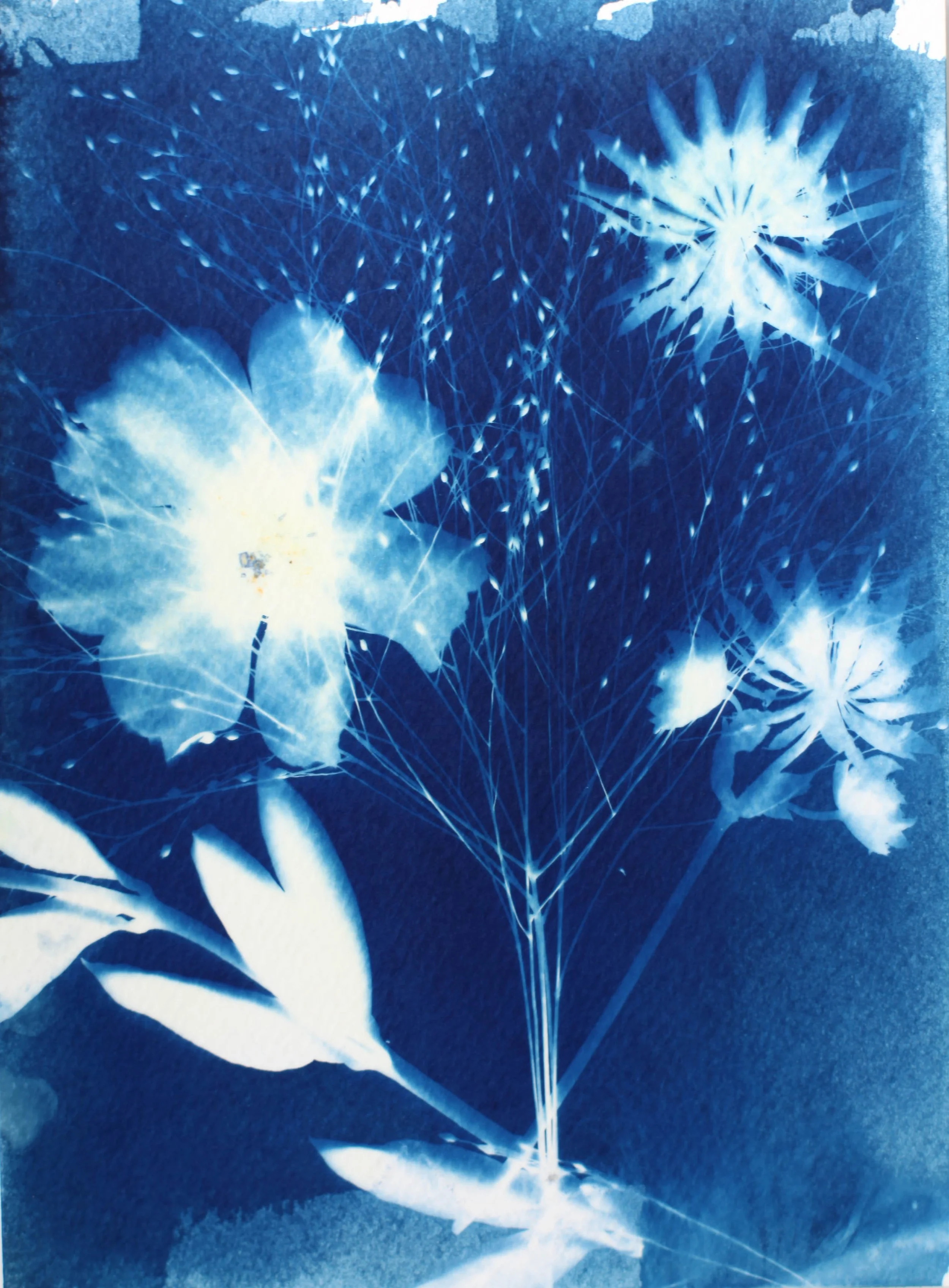 Heritage Open Day Cyanotype Workshop — Southborough Society