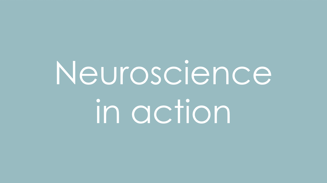 Science-backed change management approach | neuro@work