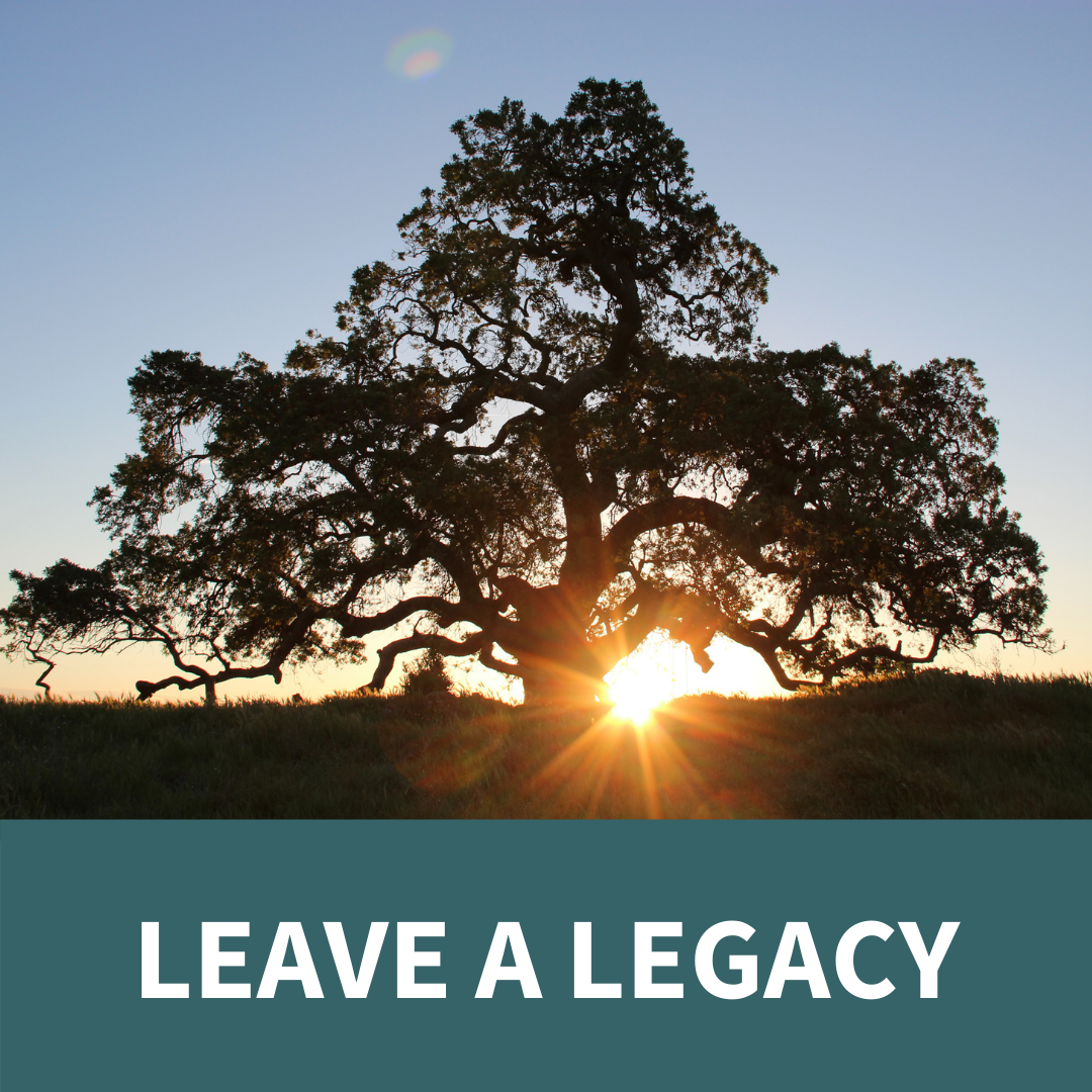 Donate — Jackson Interfaith Shelter