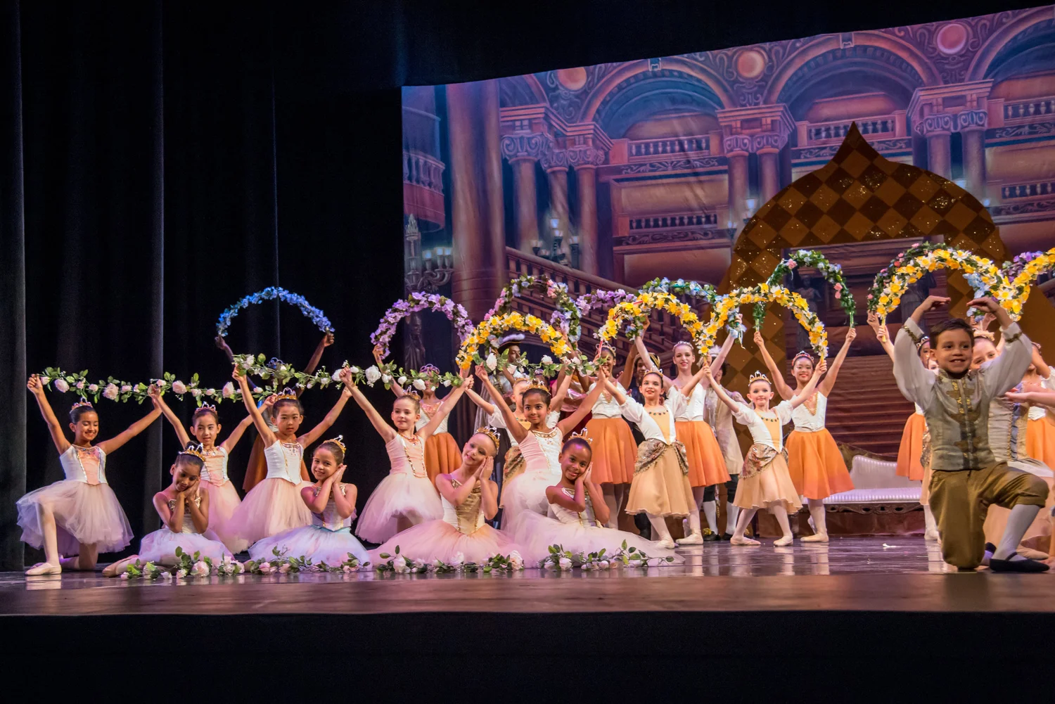 Classes — Tampa City Ballet Dance School