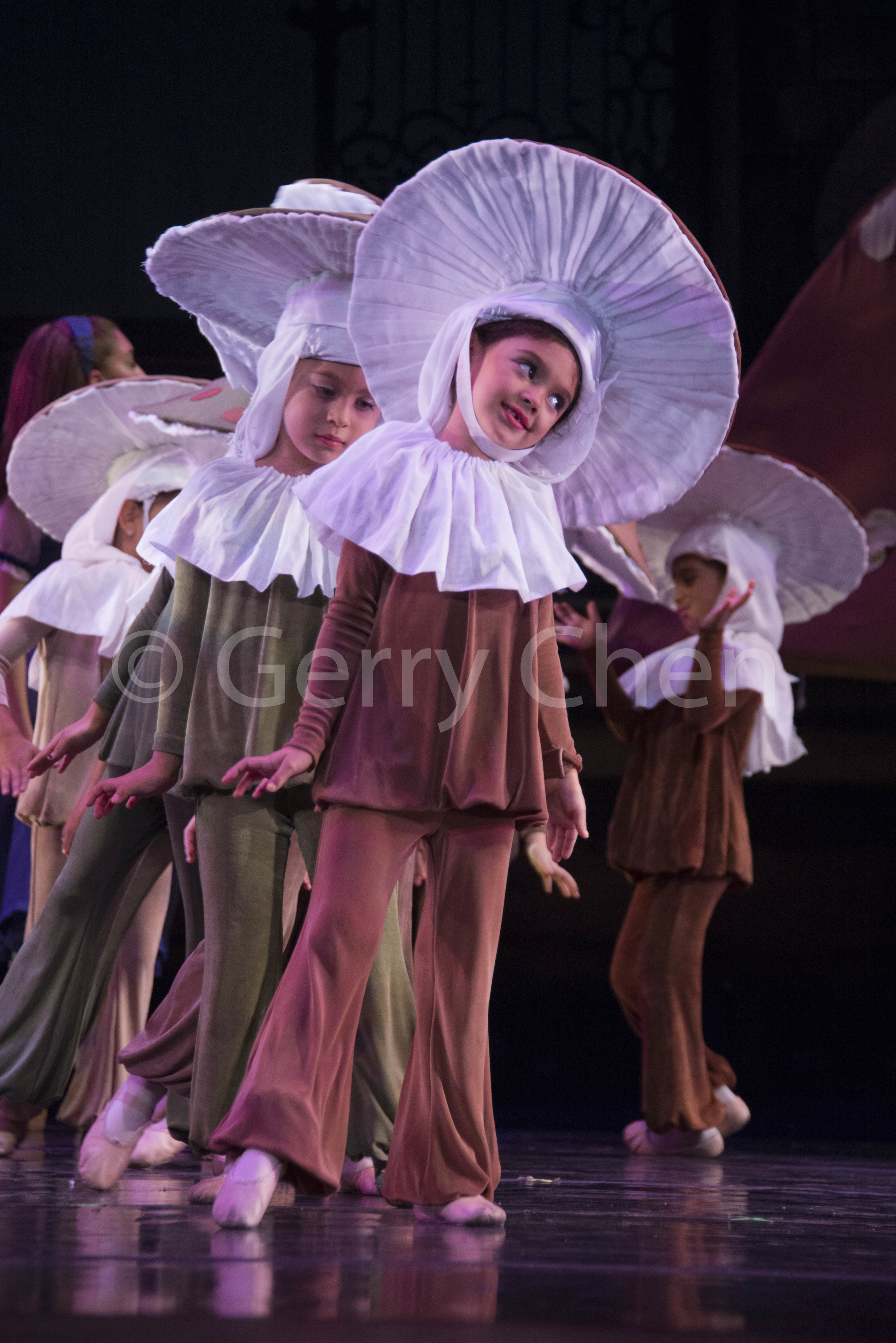 Performances — Tampa City Ballet Dance School
