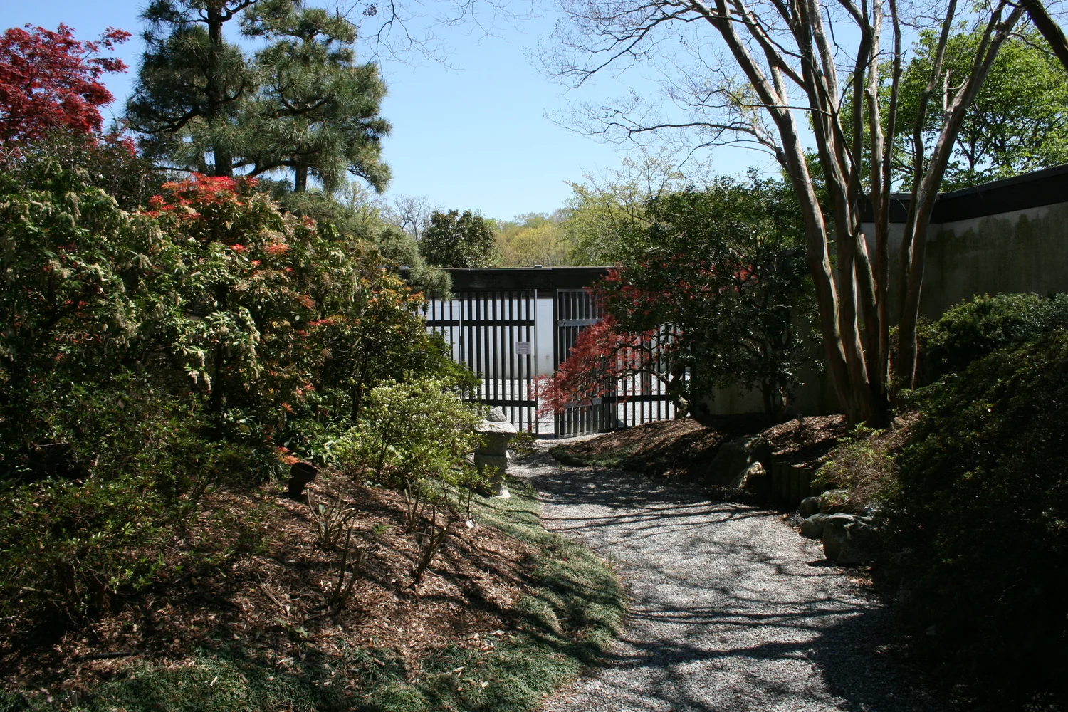 Bonsai & Penjing Museum Collections in DC — National Bonsai Foundation