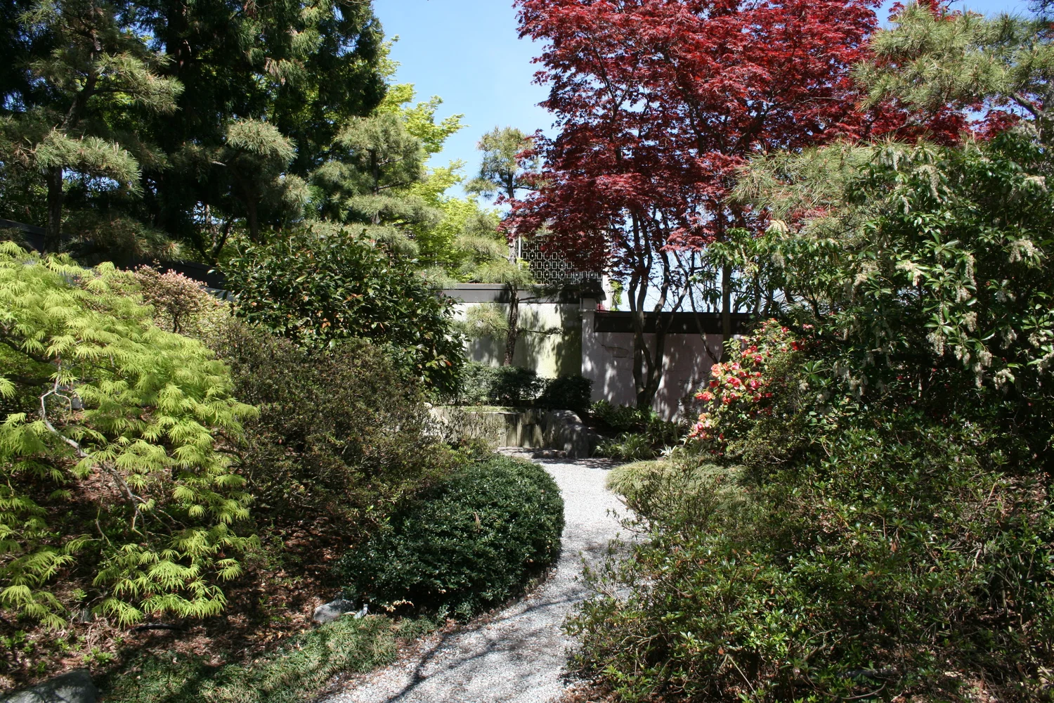 Bonsai & Penjing Museum Collections in DC — National Bonsai Foundation