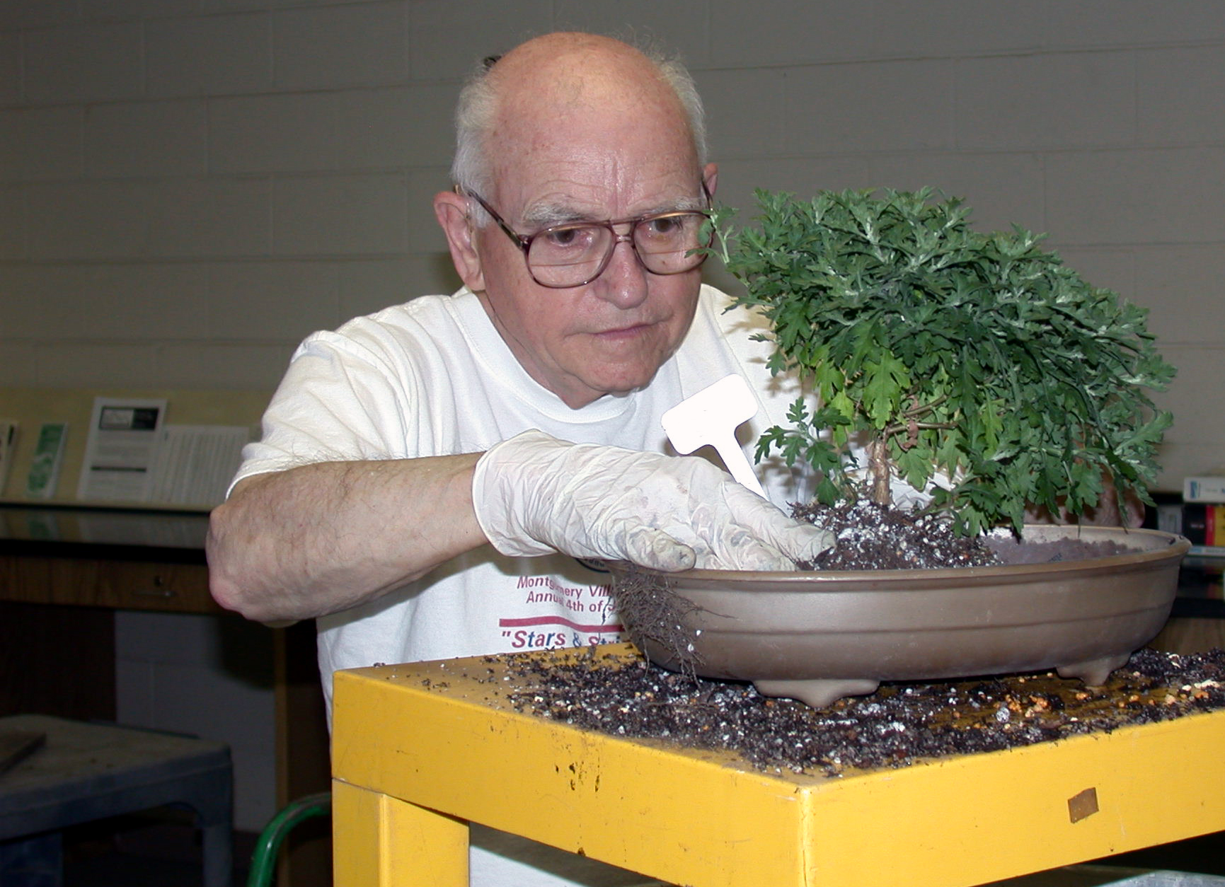 The Museum — National Bonsai Foundation