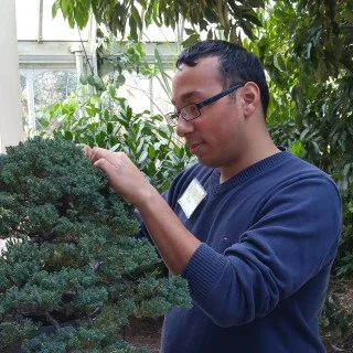 National Bonsai Apprenticeship — National Bonsai Foundation