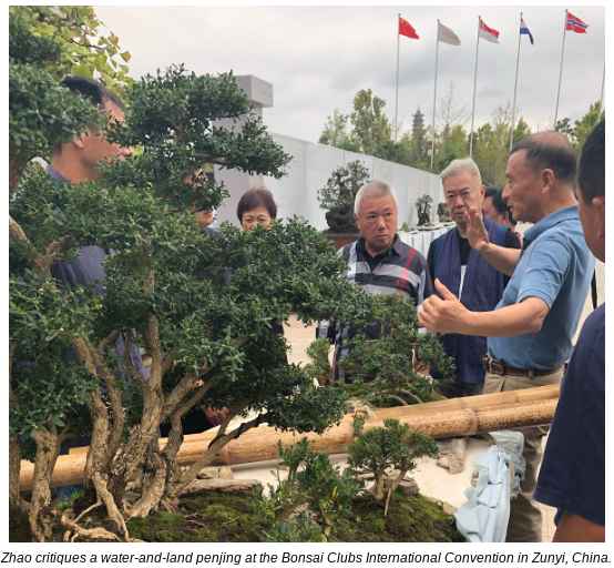Penjing Defined by Master Zhao Qingquan — National Bonsai Foundation