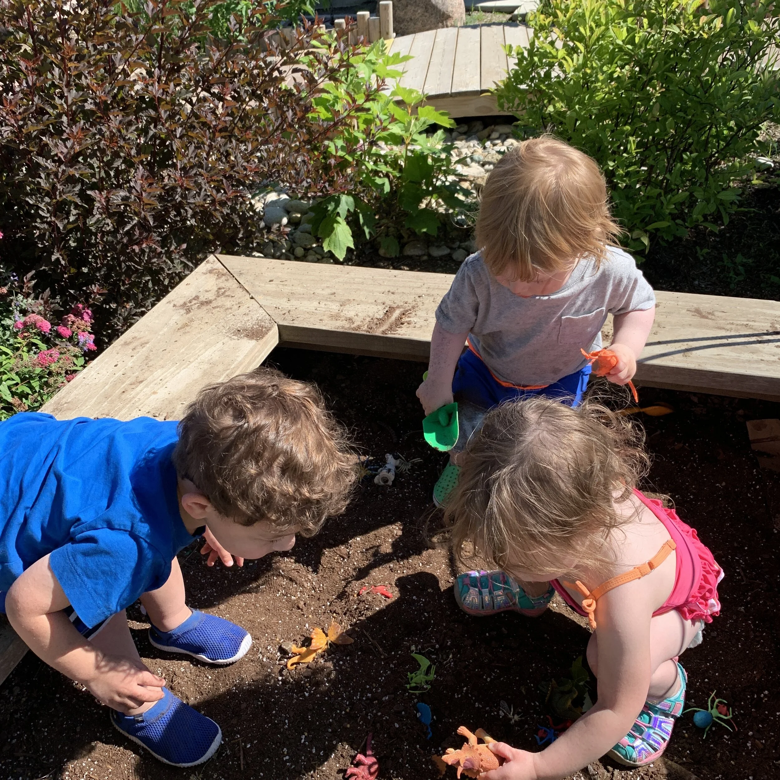 Camp Curiosity at Rockwern Academy 2023 — Rockwern Academy