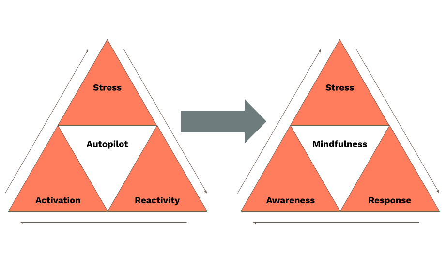 Mindfulness Based Stress Reduction (MBSR) | Inseus