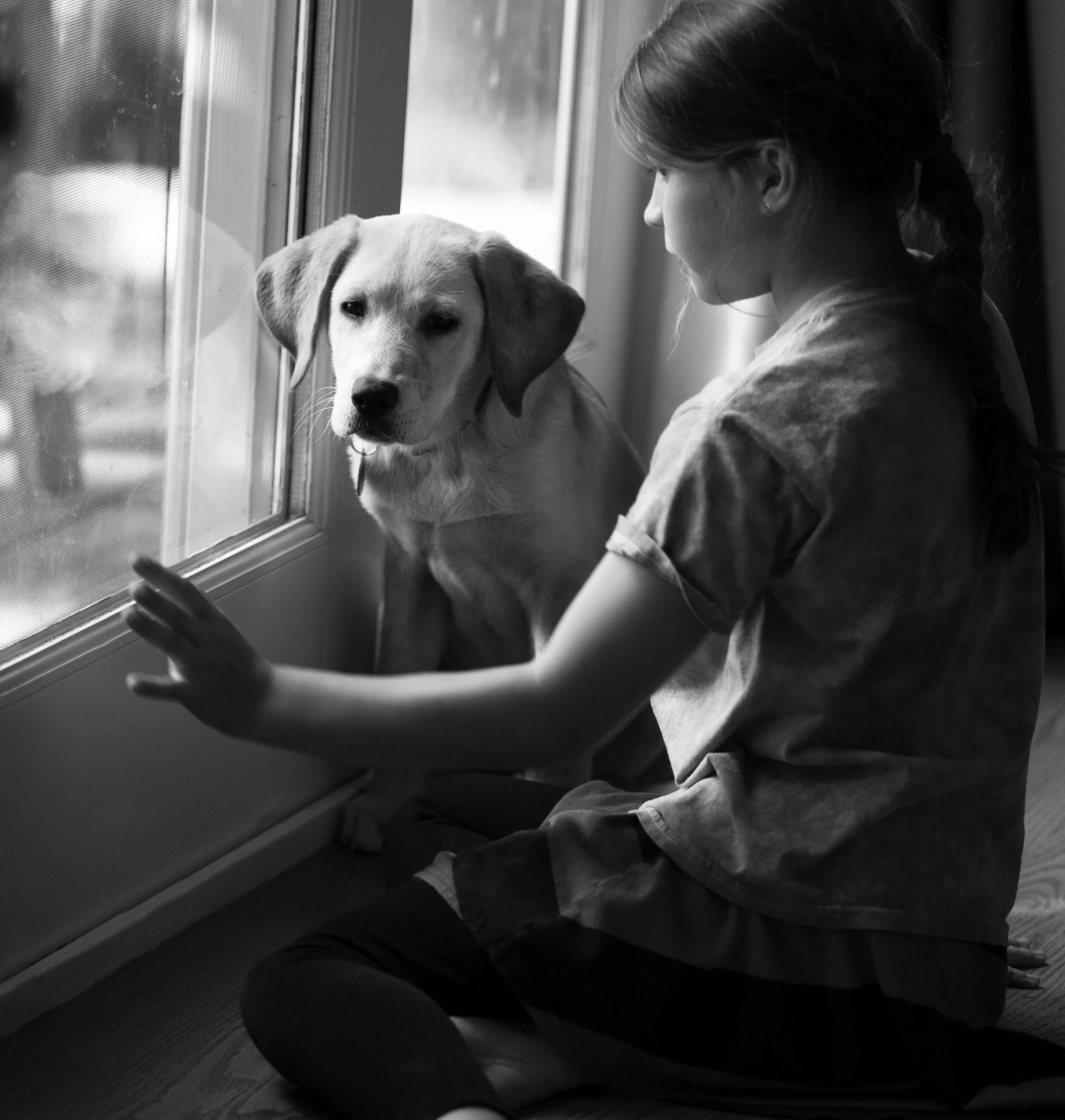 A Curious Lab — Ashby