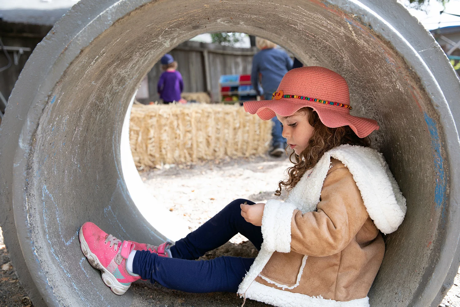 Hummingbirds' Collaborative School