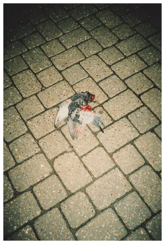 photographs — Liam Ashley Clark