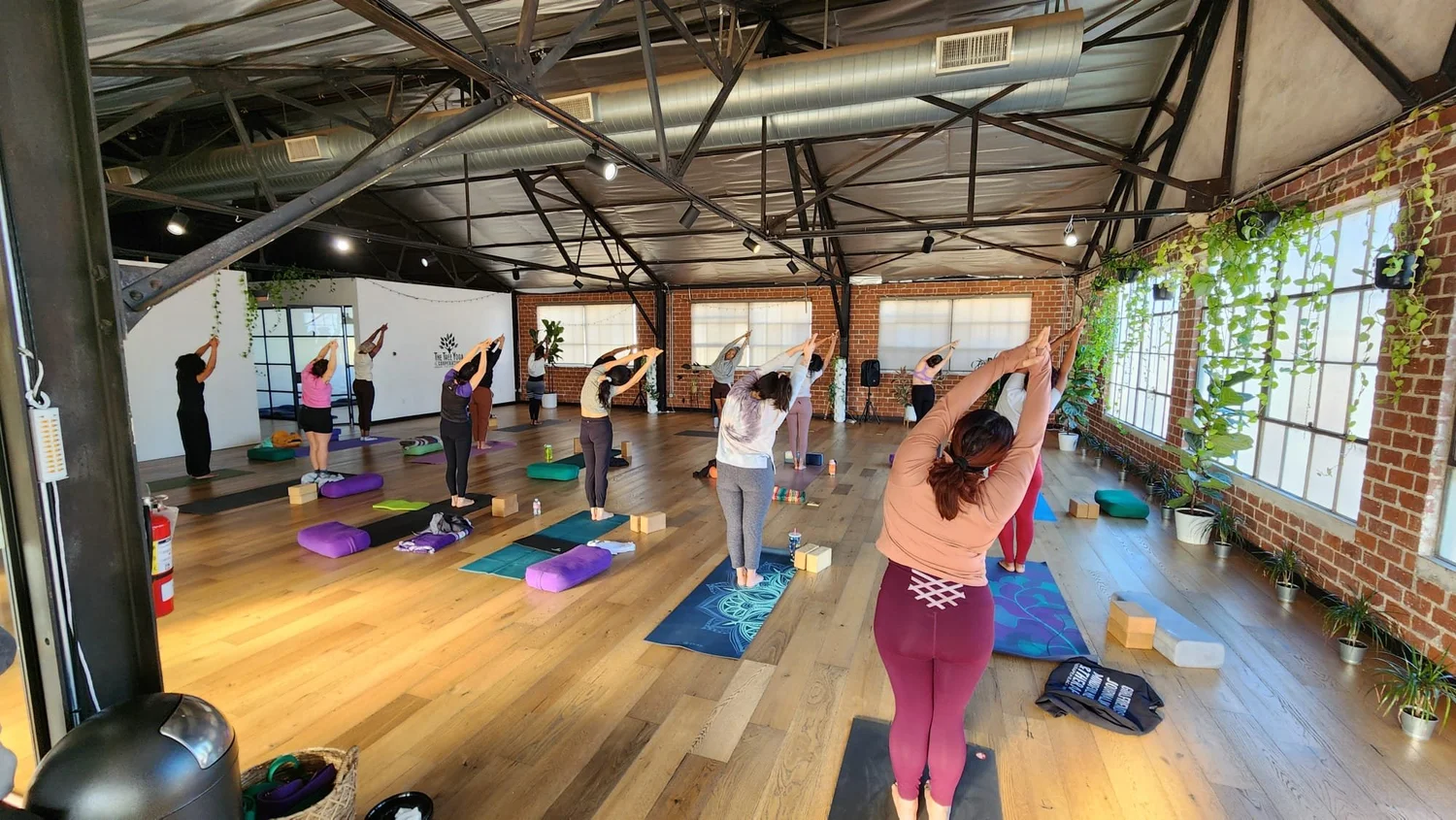 The Tree Yoga Cooperative