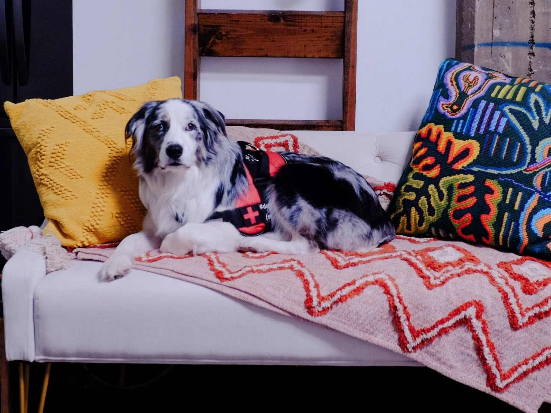 Nia Baker LPC — ARC