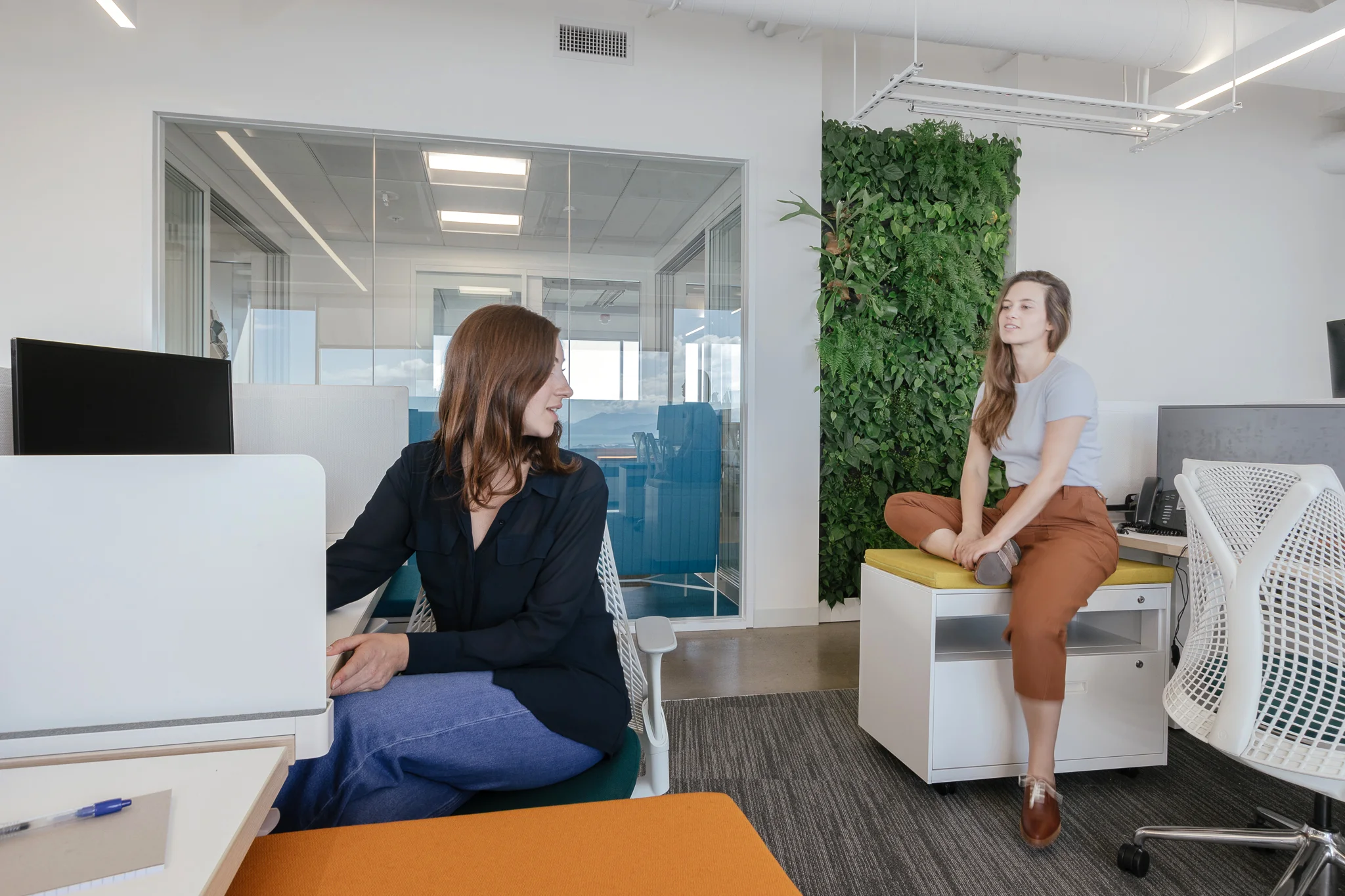 Solar Mosaic Office — Matter | Architecture Studio