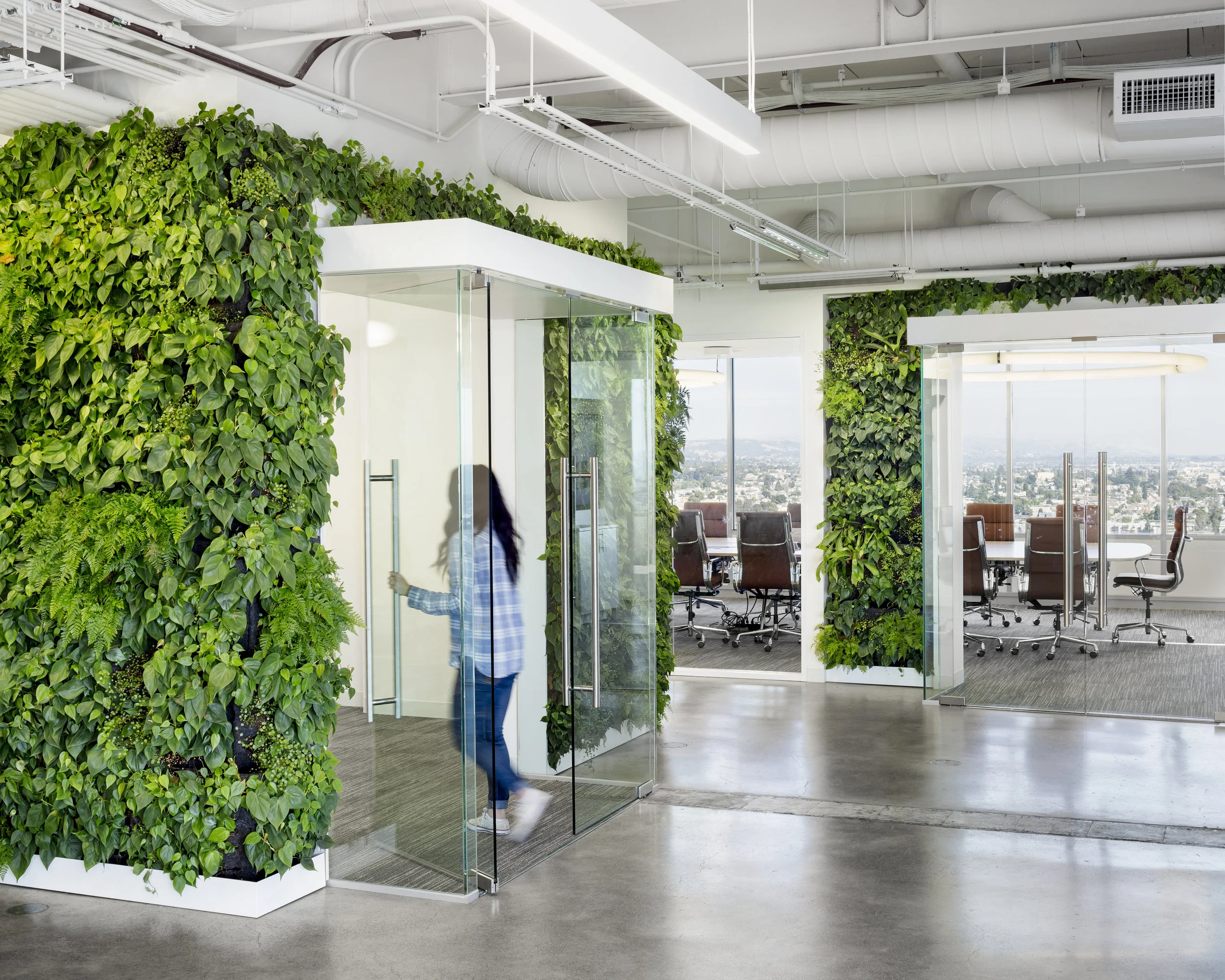 Solar Mosaic Office — Matter | Architecture Studio