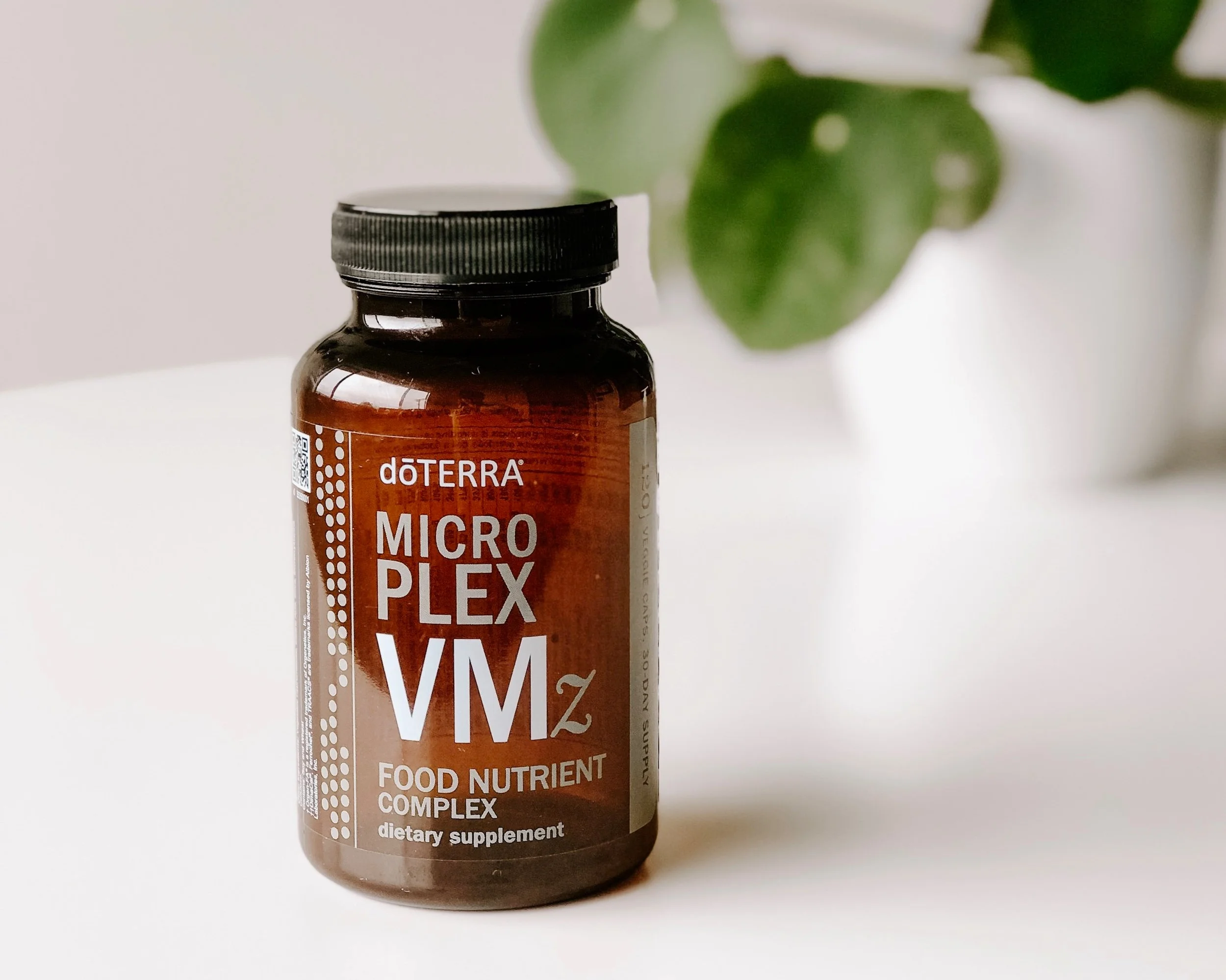 Supplement Guide — HOL:FIT