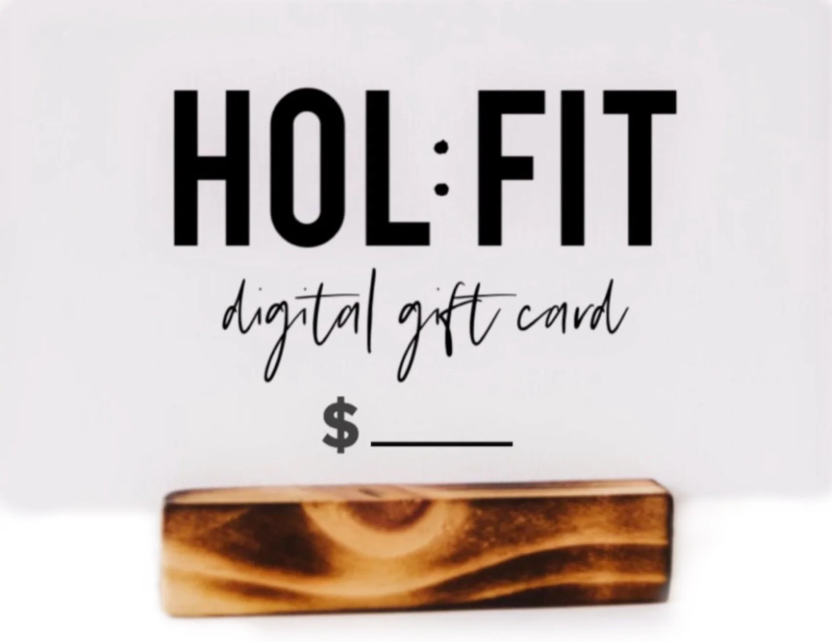 HOL:FIT Health Programs — HOL:FIT