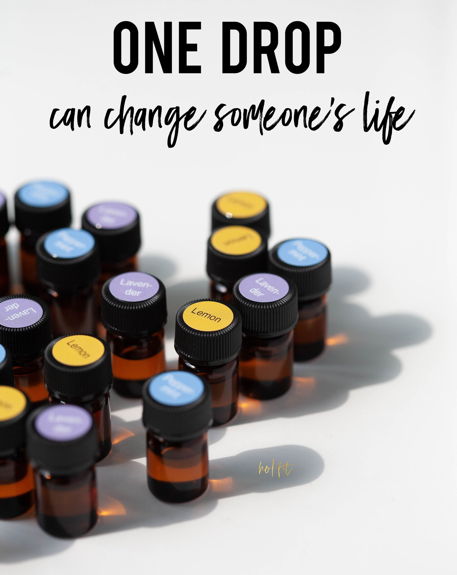 Sampling Kit — HOL:FIT