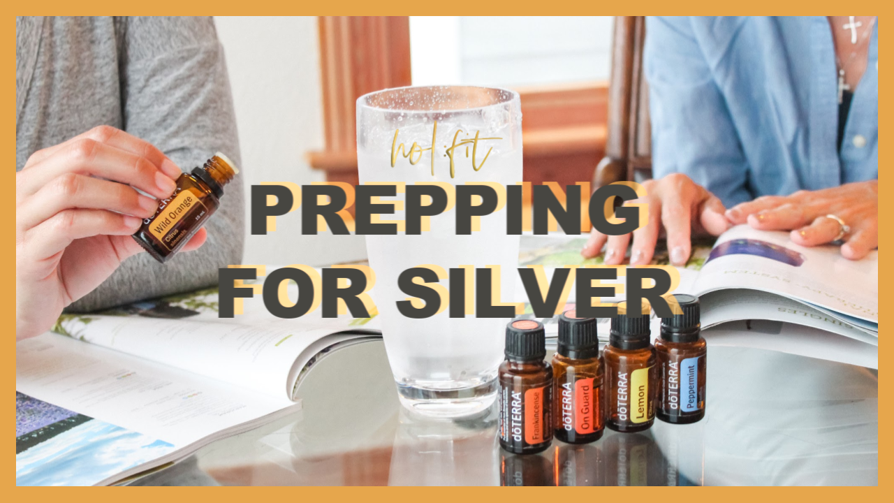 Silver Kit — HOL:FIT