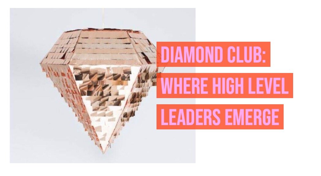 Silver Kit — HOL:FIT