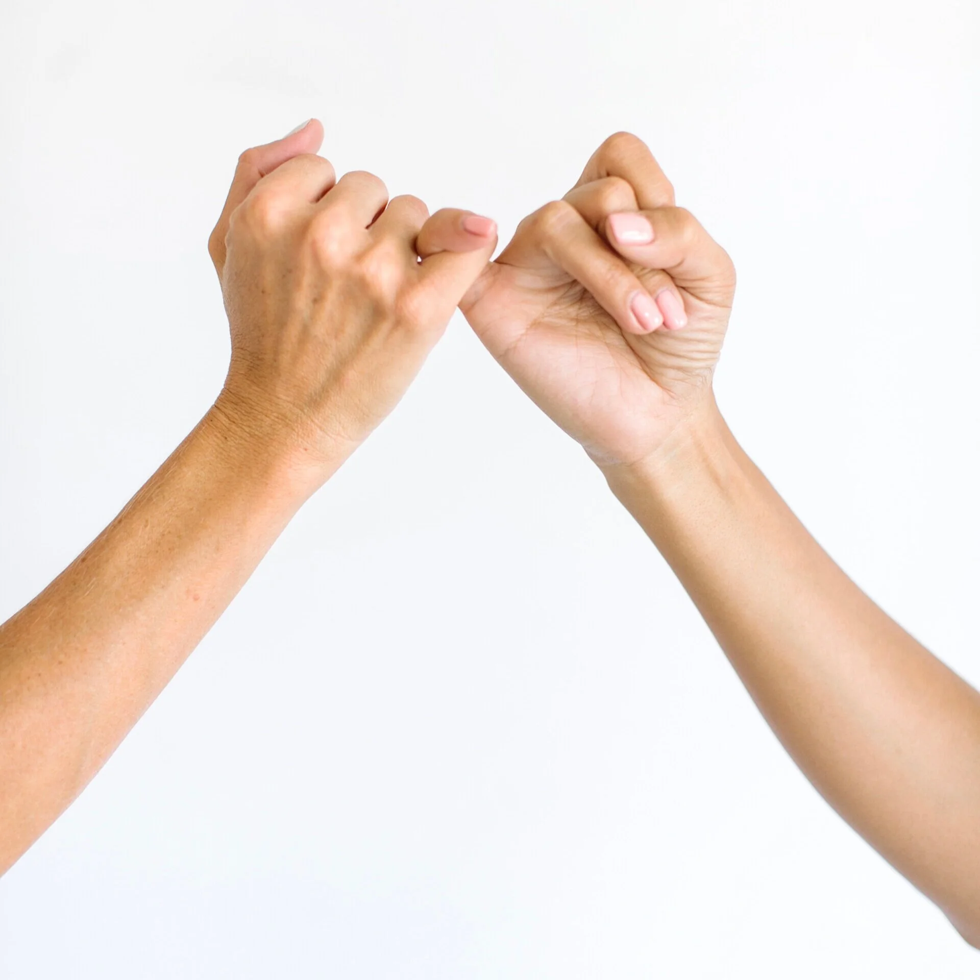 Class Kit — HOL:FIT