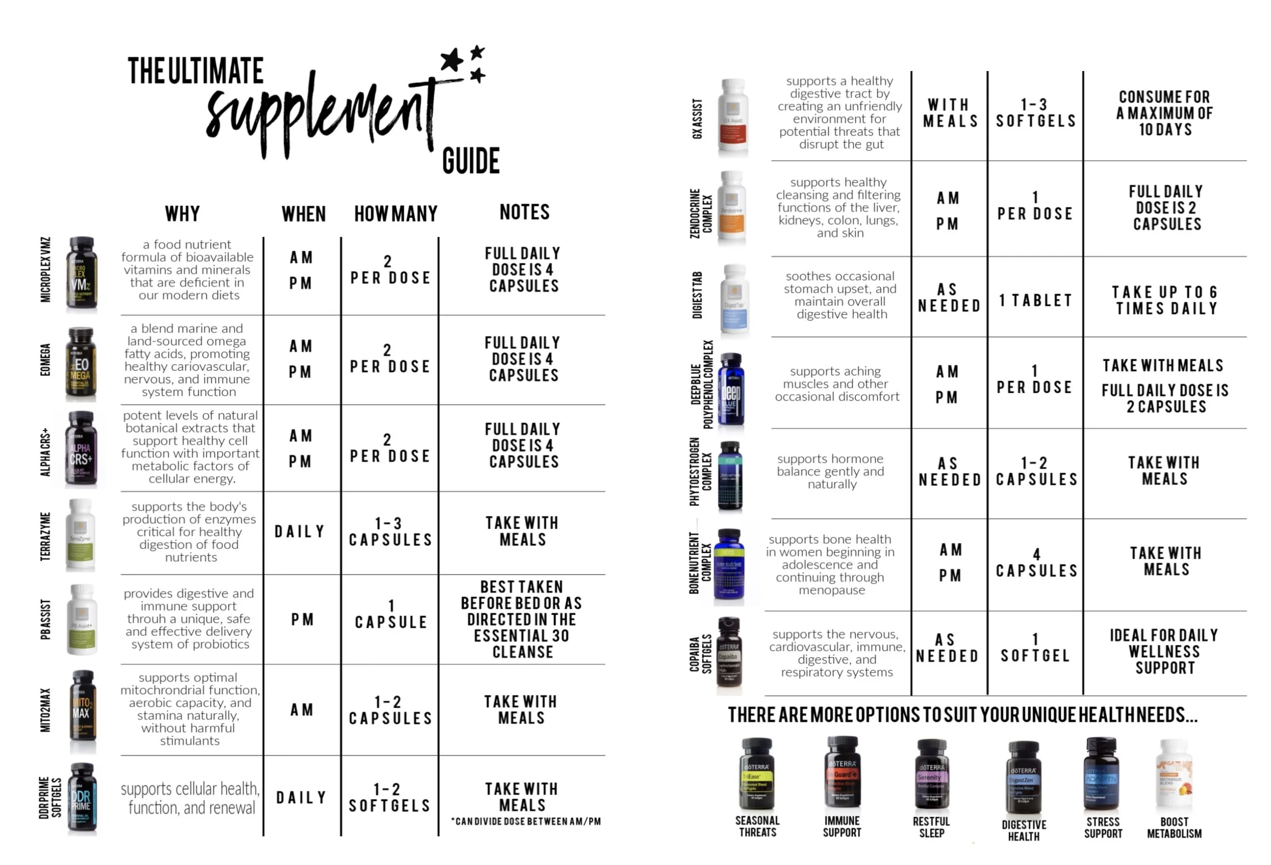 Supplement Guide — HOL:FIT