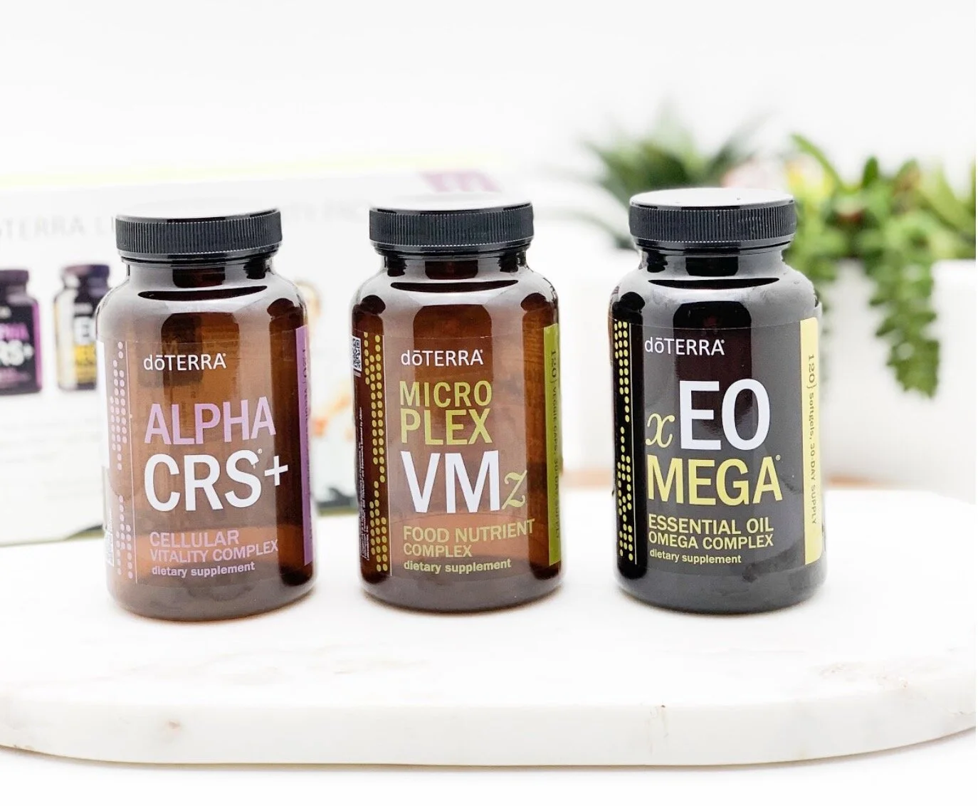 Supplement Guide — HOL:FIT