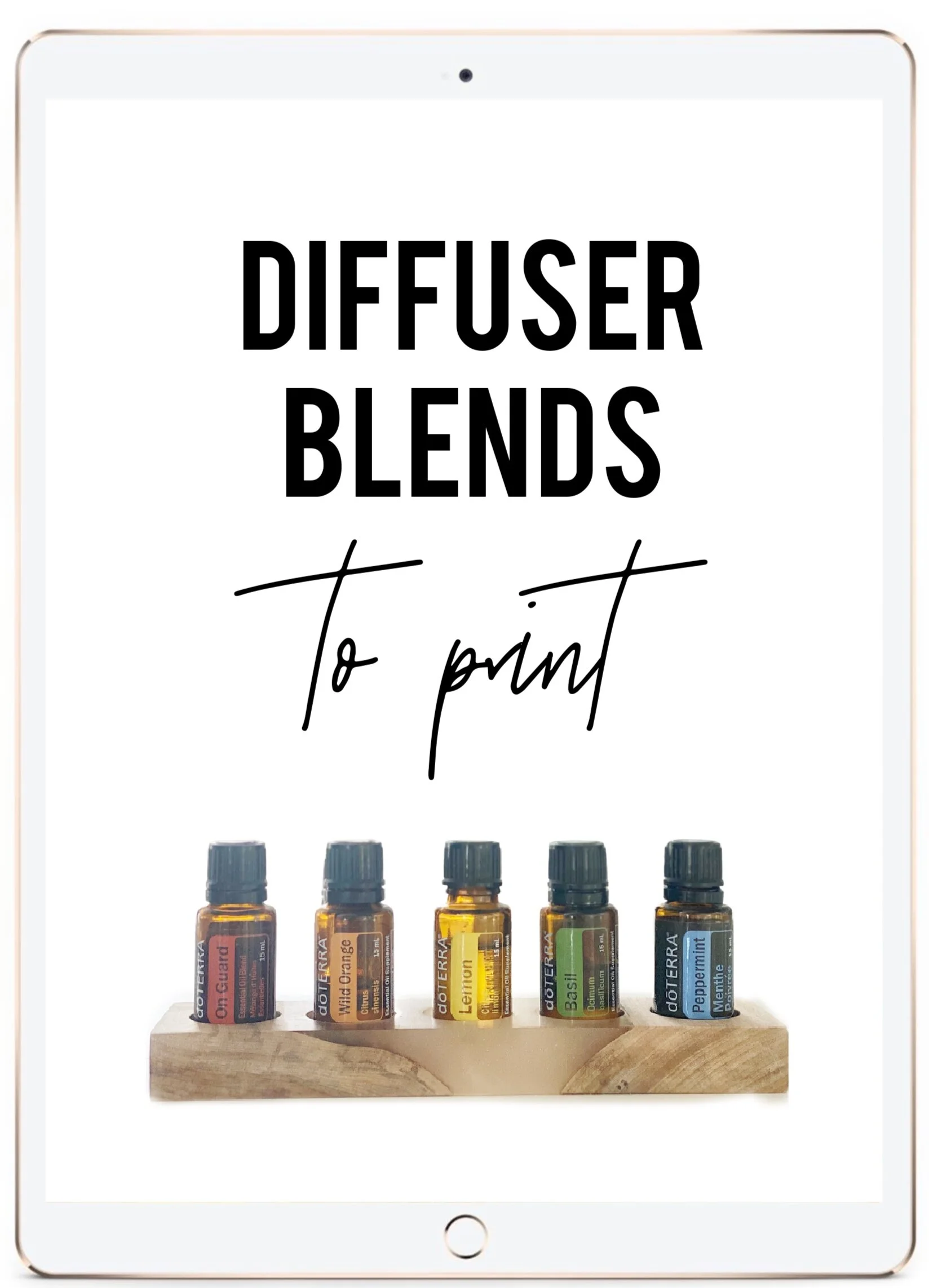 HOL:FIT Diffuser Guide — HOL:FIT