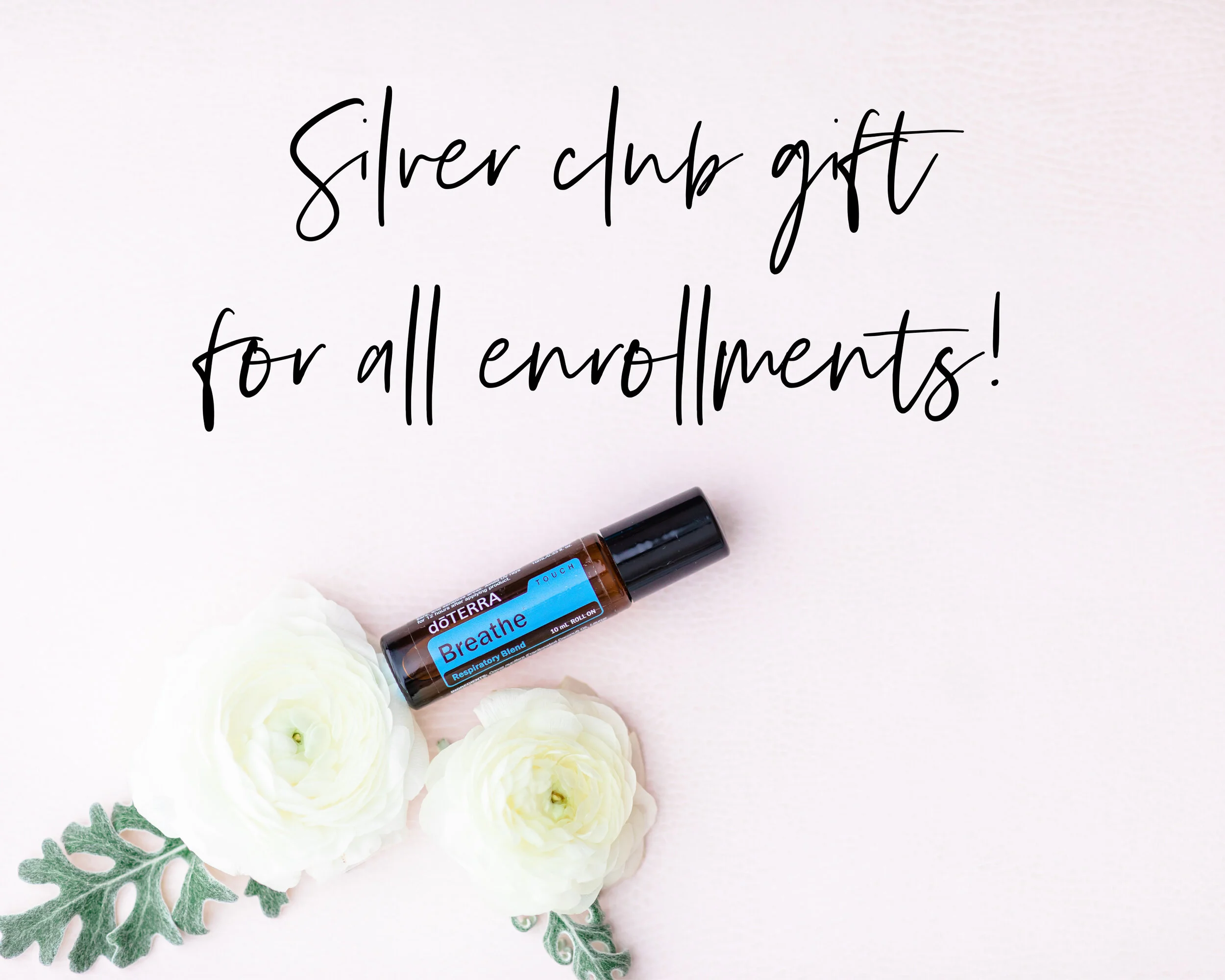 HOL:FIT Team SILVER CLUB — HOL:FIT