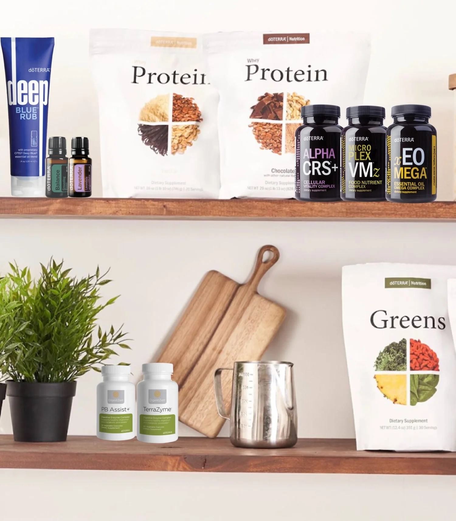 HOL:FIT Healthy Habits Program — HOL:FIT