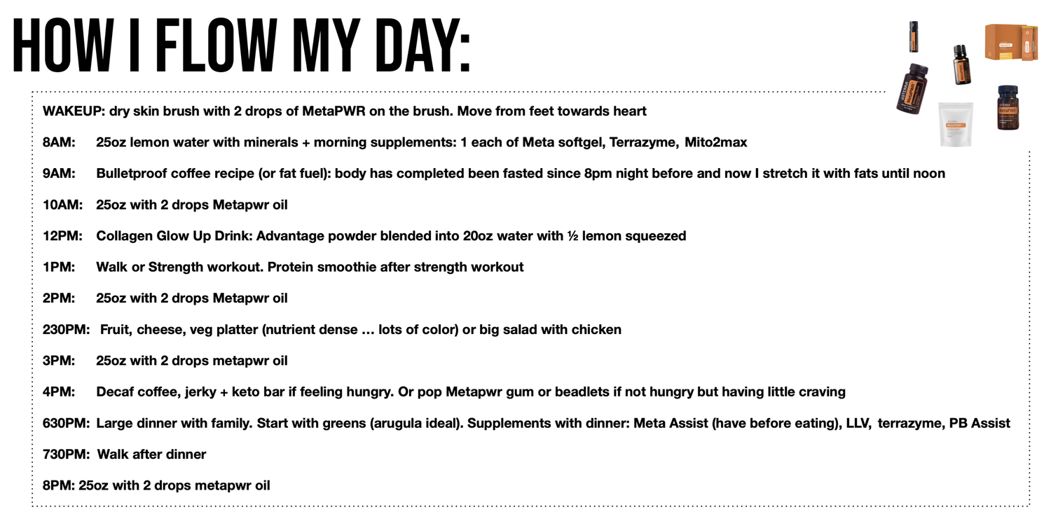 My MetaPWR Daily Routine — HOL:FIT