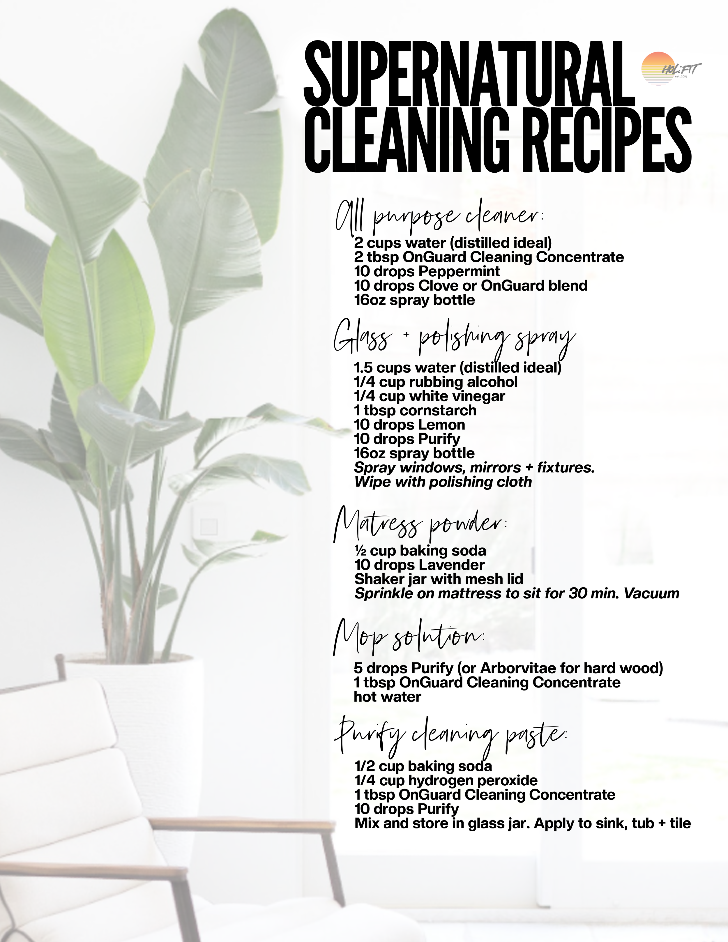 Green Cleaning Kit — HOL:FIT