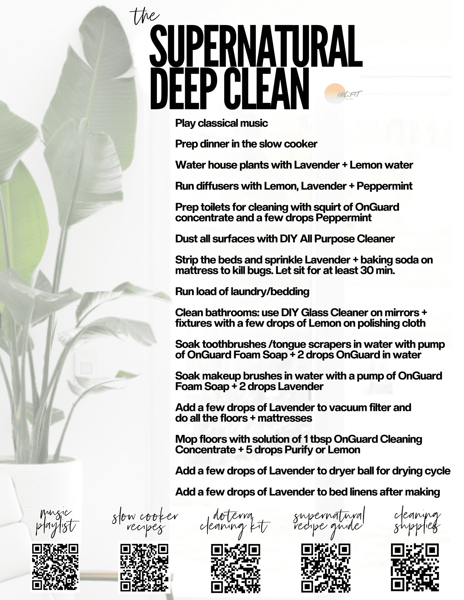 Green Cleaning Kit — HOL:FIT